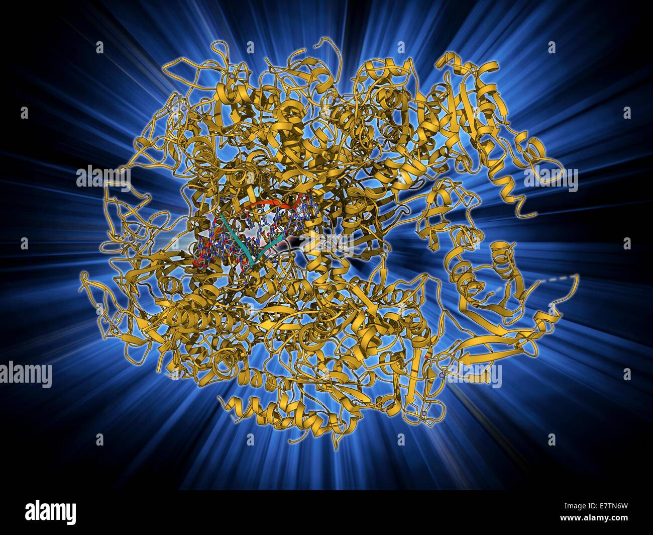 Mrna hi-res stock photography and images - Alamy