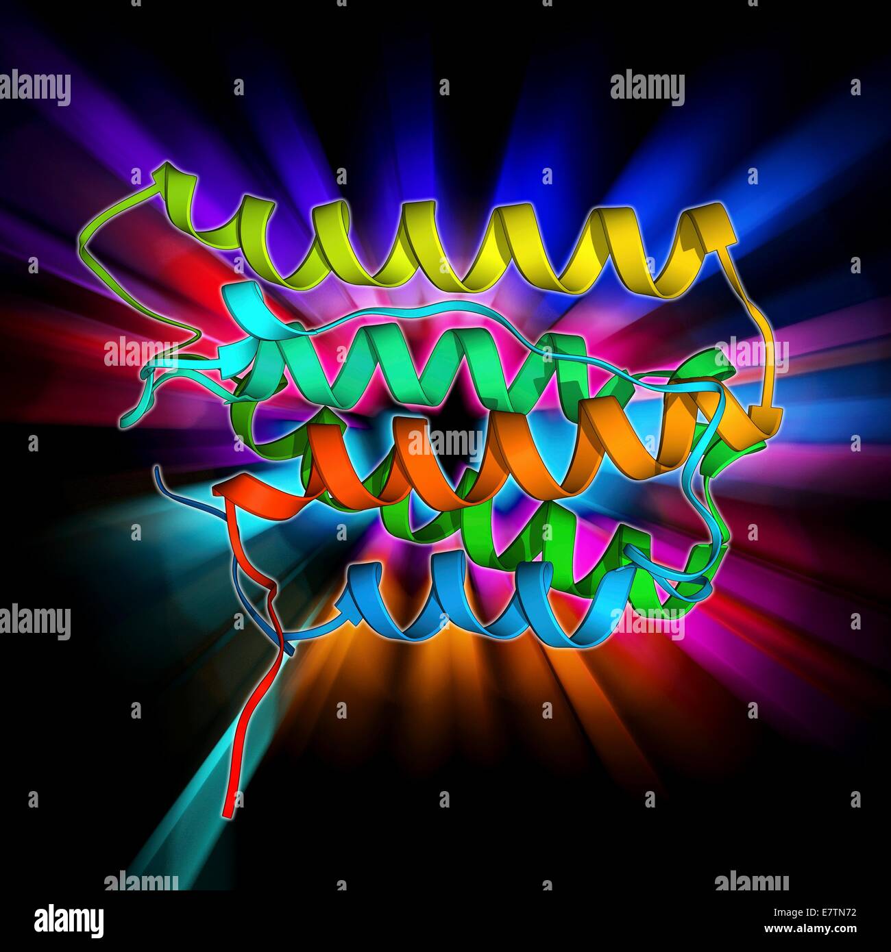 Human interferon alpha, molecular model. Interferons are proteins ...