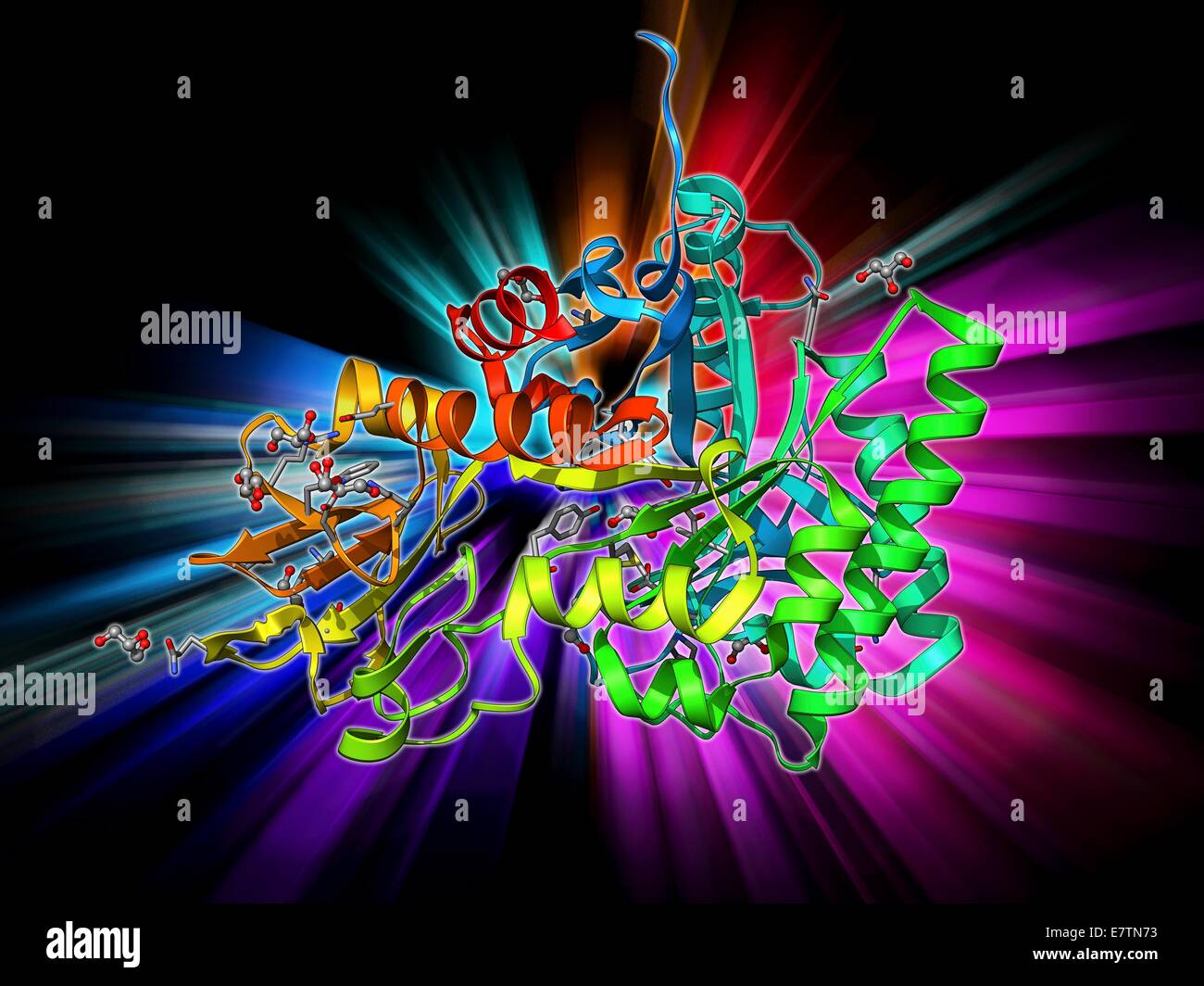 Fungal cell hi-res stock photography and images - Alamy