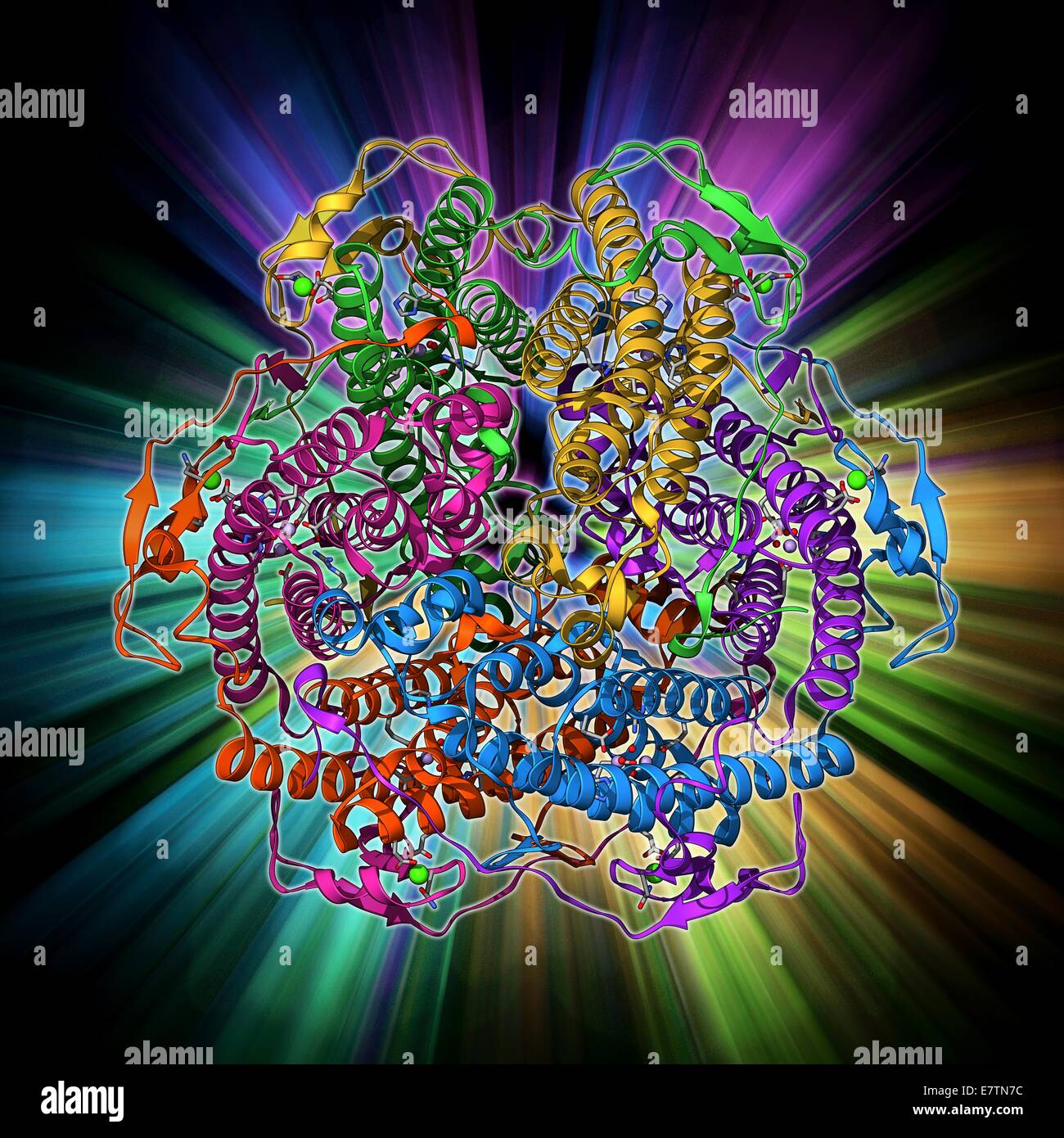 Manganese catalase molecular model enzyme hi-res stock photography and ...