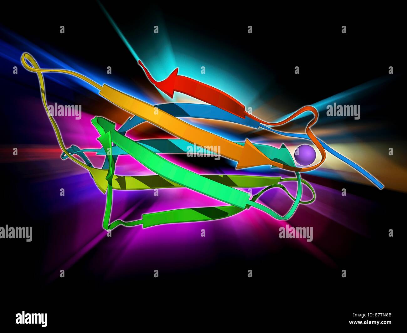 Ubiquitin ligase, molecular model. This enzyme tags proteins for ...