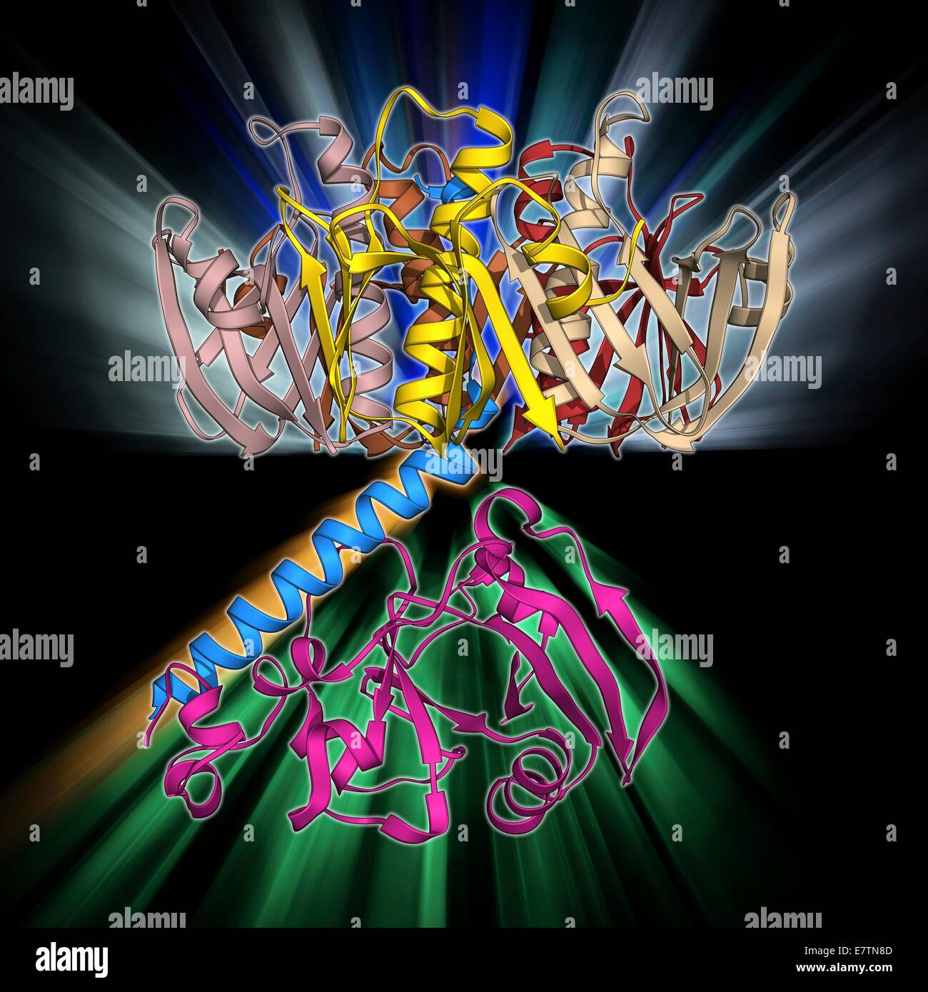 Inactivated bacteria hi-res stock photography and images - Alamy