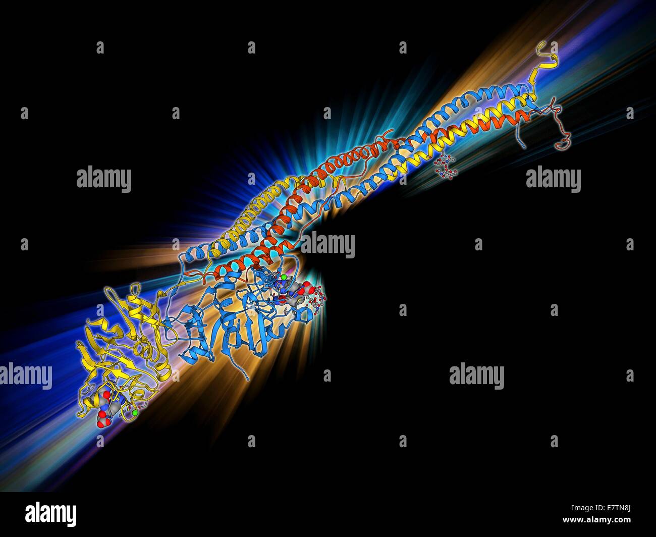 Fibrinogen hi-res stock photography and images - Alamy