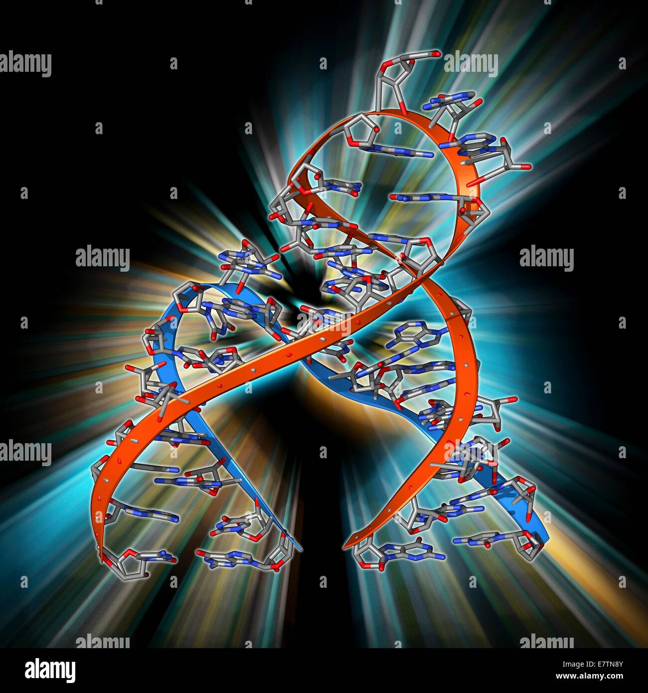 Hammerhead ribozyme, molecular model. Ribozymes are RNA (ribonucleic ...