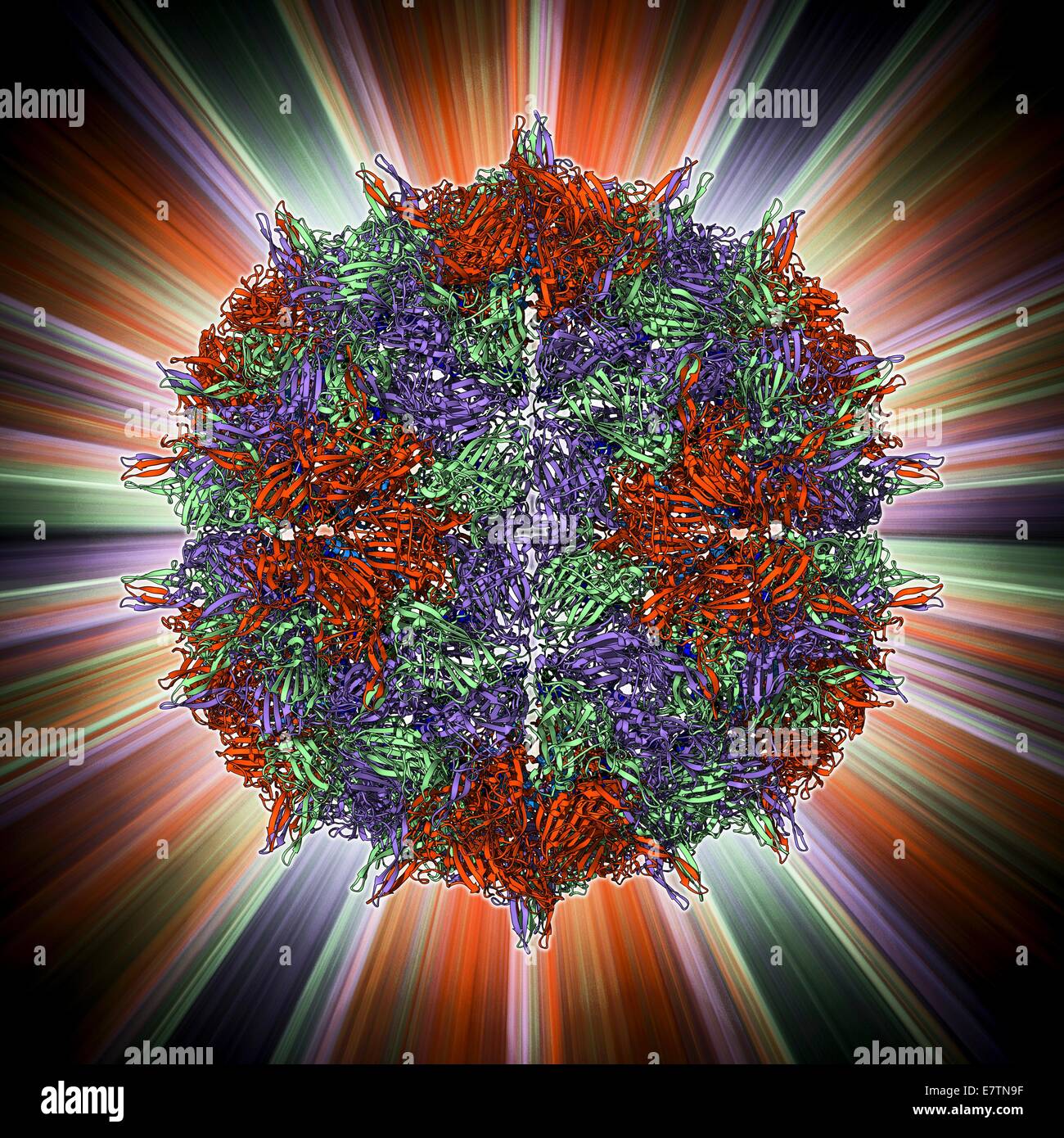 Nodamura virus capsid, molecular model. This virus can cause lethal ...