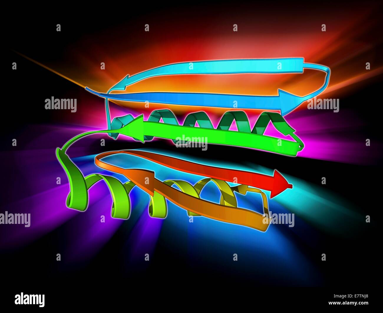 Novel protein. Molecular model of a computer-designed protein named ...