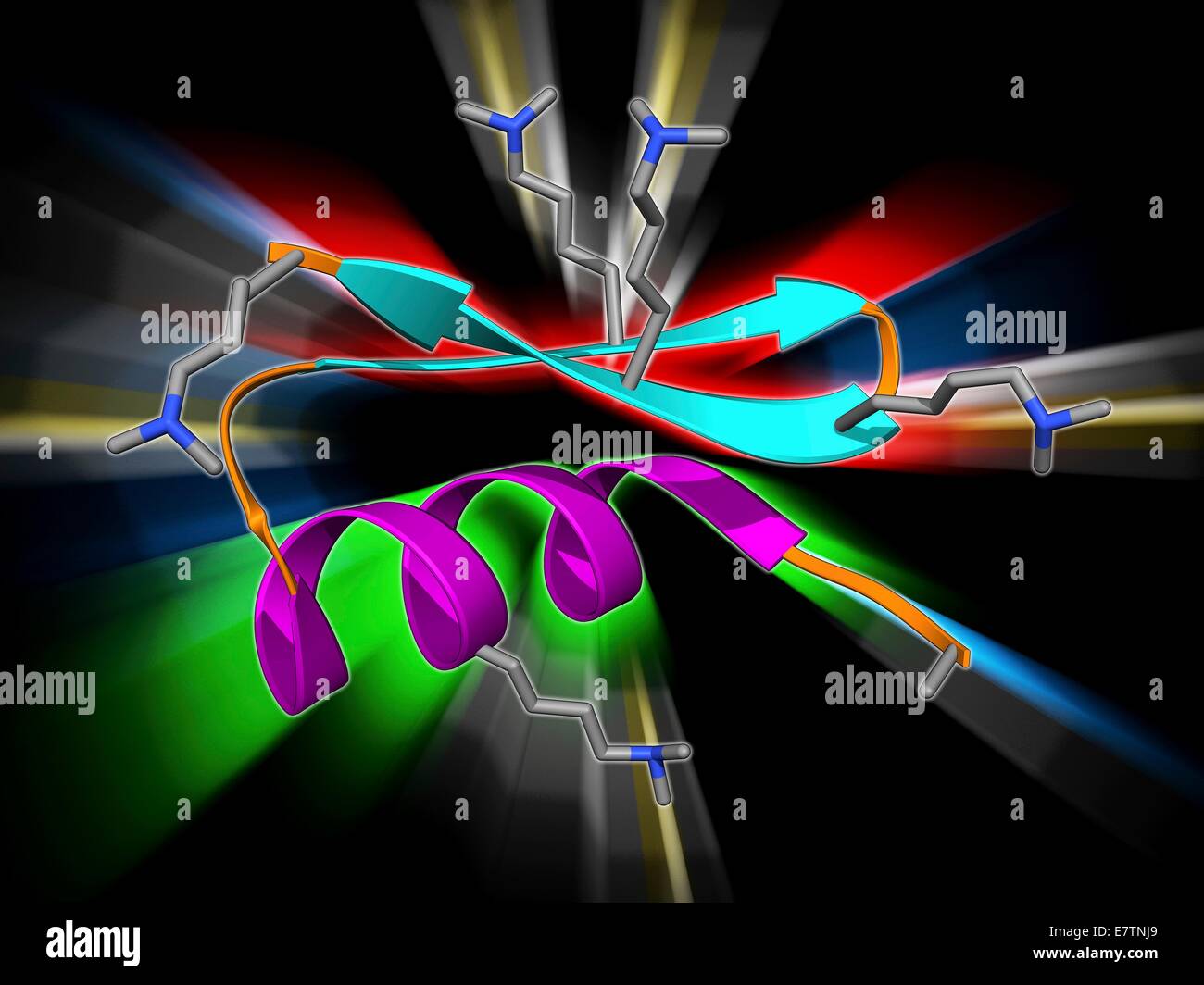 Chinese scorpion toxin structure. Molecular model of the toxin BmBKTtx1 ...