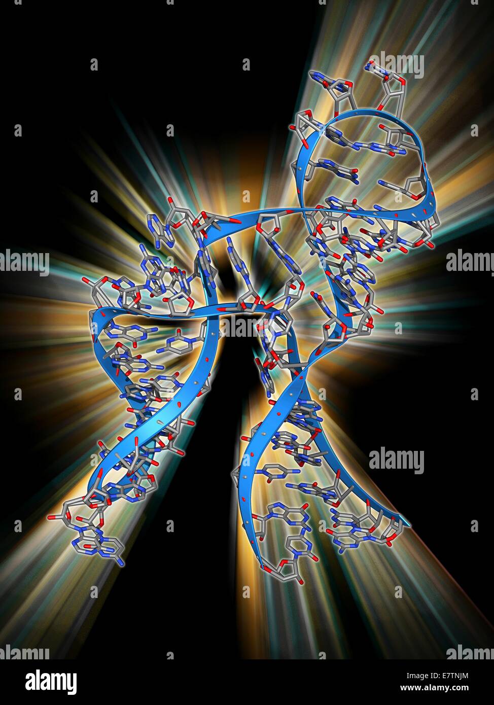 Hammerhead ribozyme molecule hi-res stock photography and images - Alamy