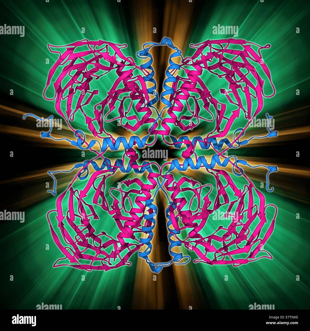 Alpha beta gamma hi-res stock photography and images - Alamy