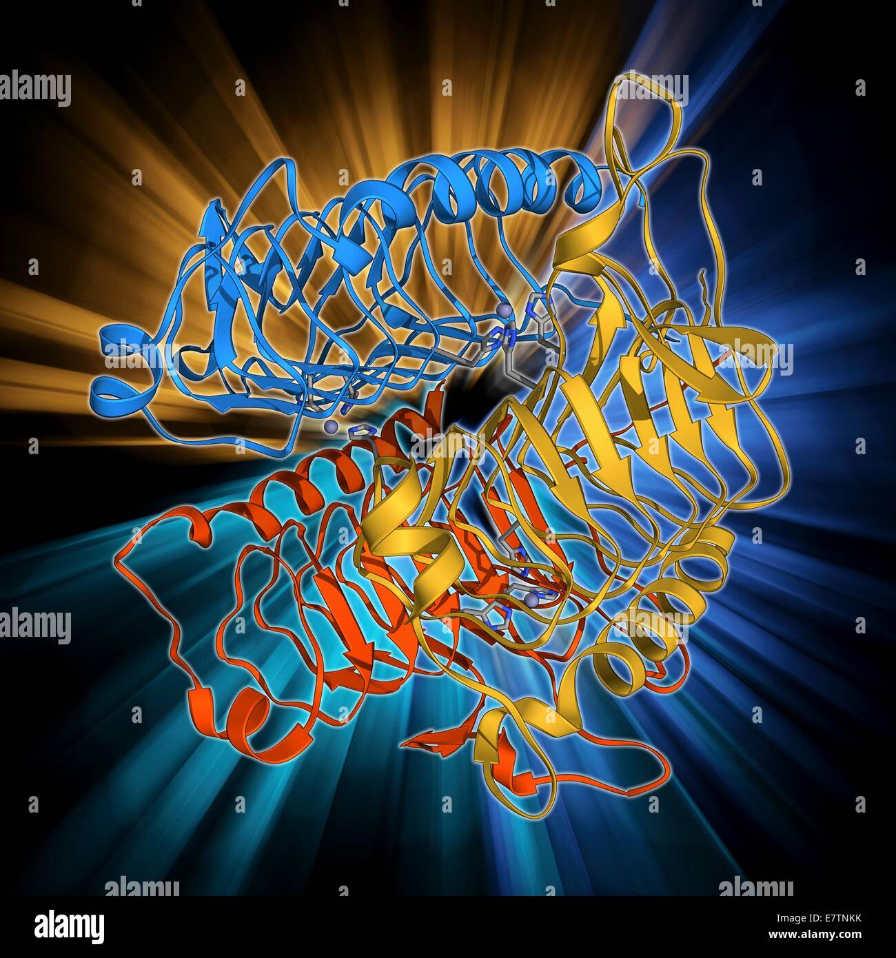 Carbonic High Resolution Stock Photography and Images - Alamy