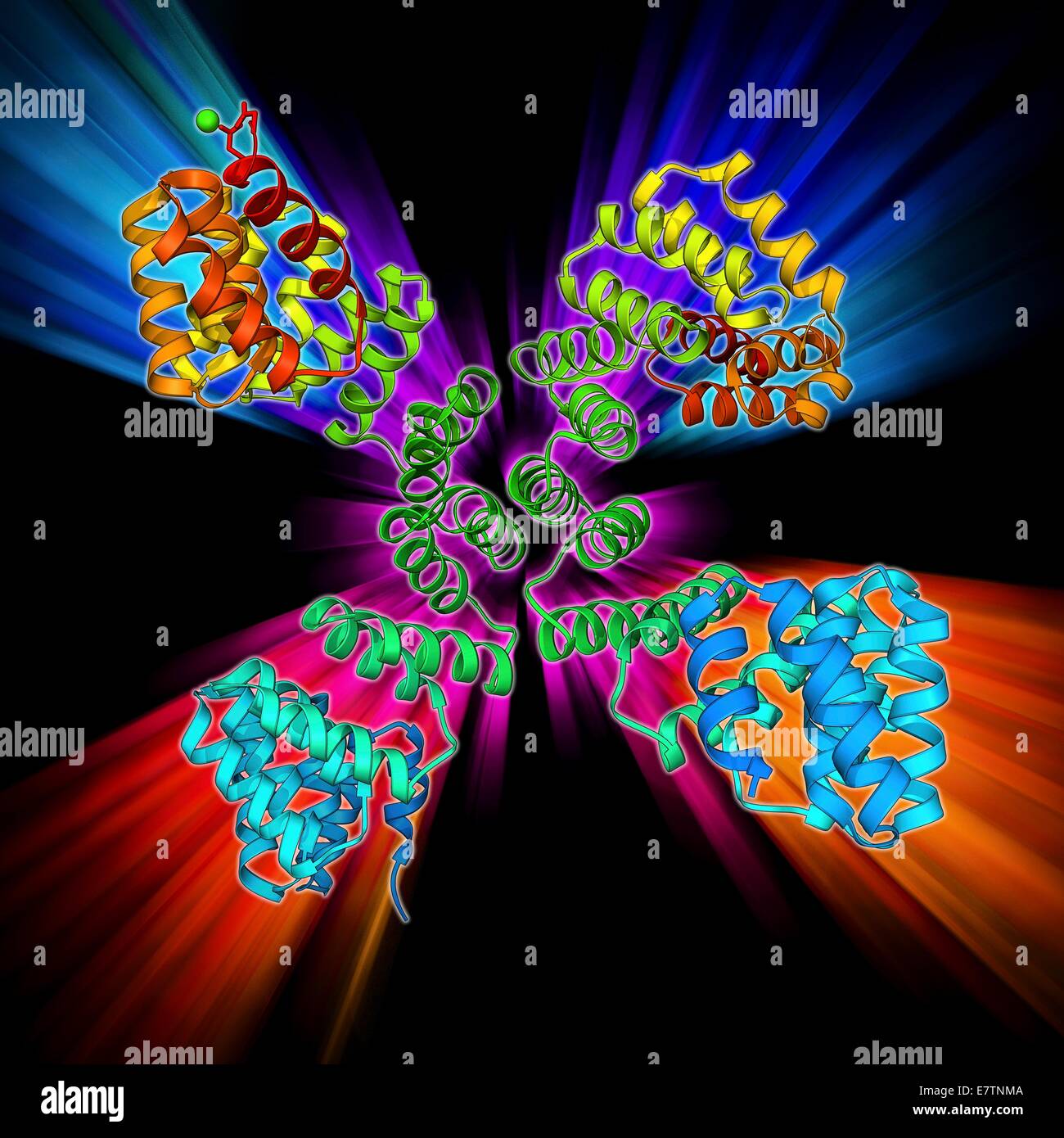 Glycosylation hi-res stock photography and images - Alamy