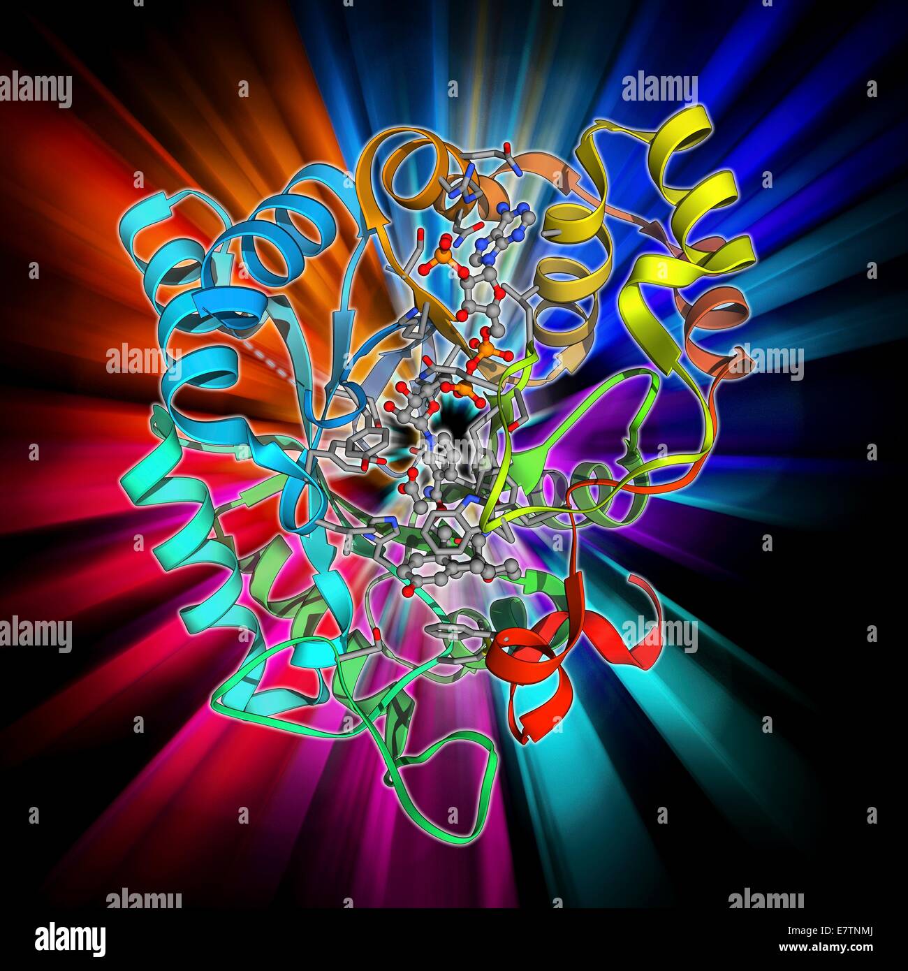 Androstene hi-res stock photography and images - Alamy