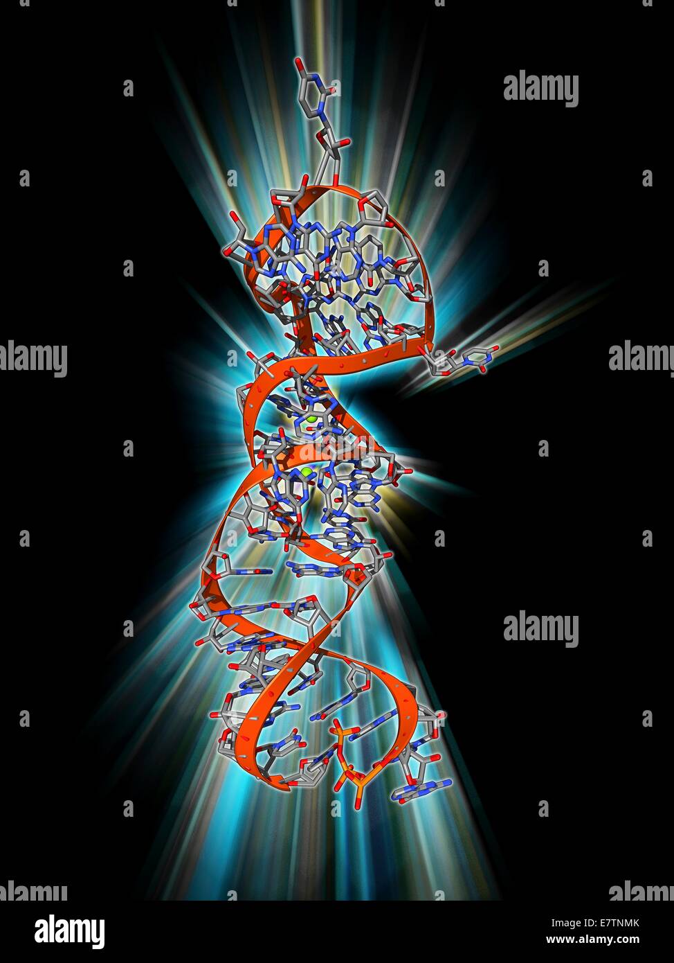 RNA stem-loop motif. Molecular model of the stem-loop II motif from the ...