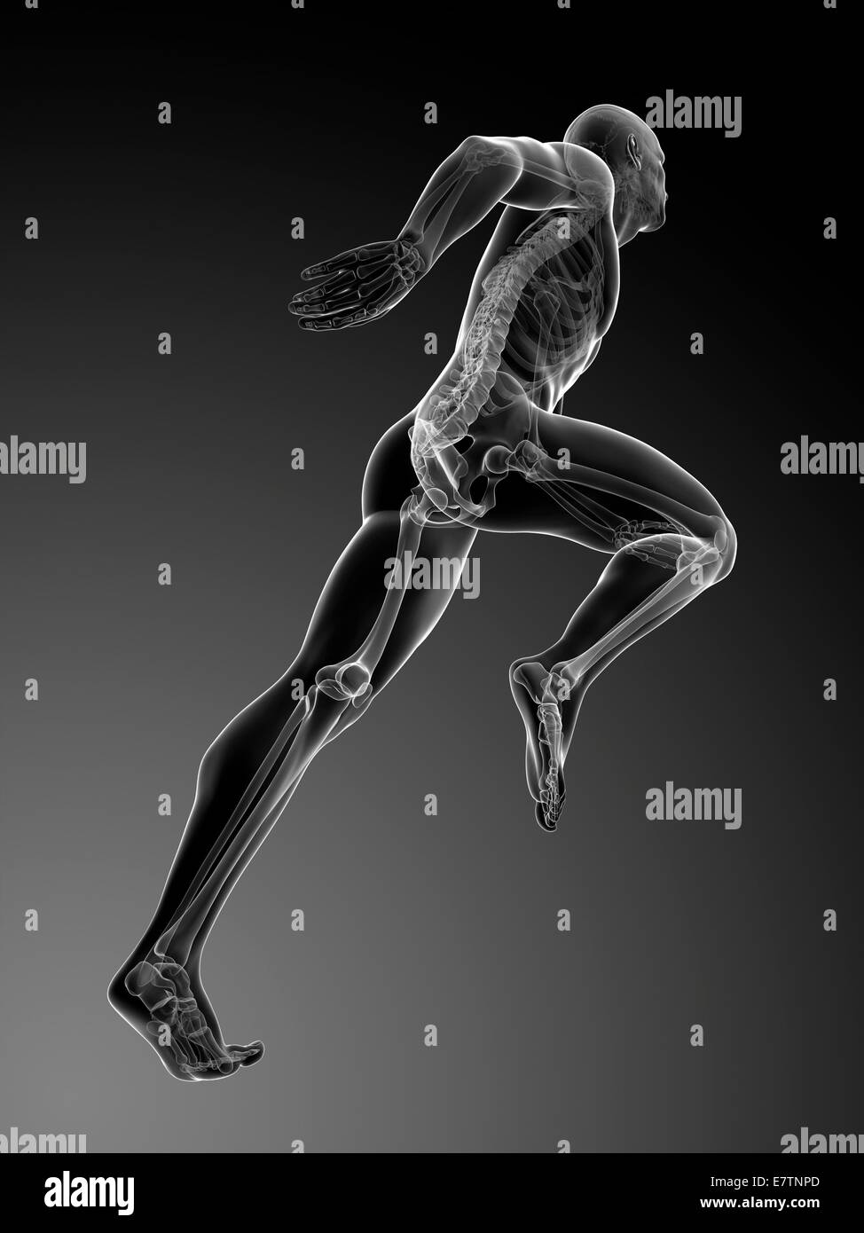 Human running action Black and White Stock Photos & Images - Alamy