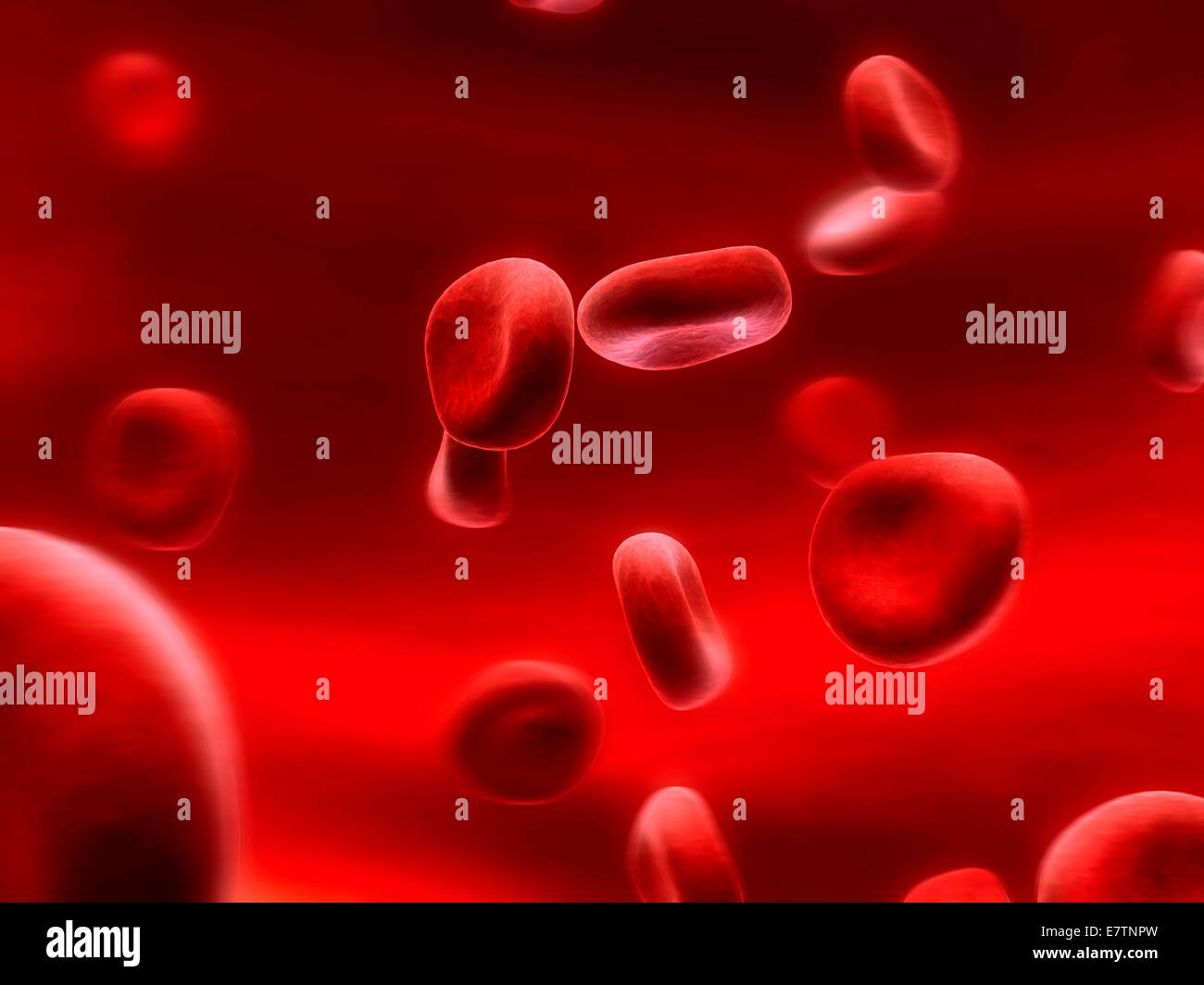 Human red blood cells, computer artwork Stock Photo - Alamy