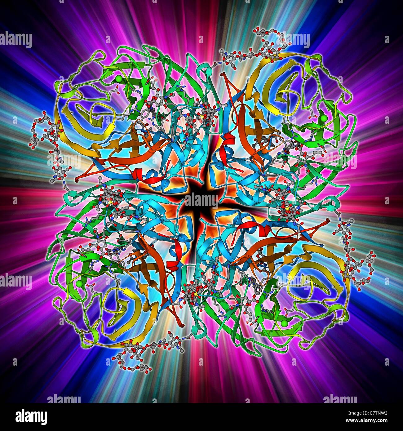Flu virus surface protein molecule. Molecular model of the ...