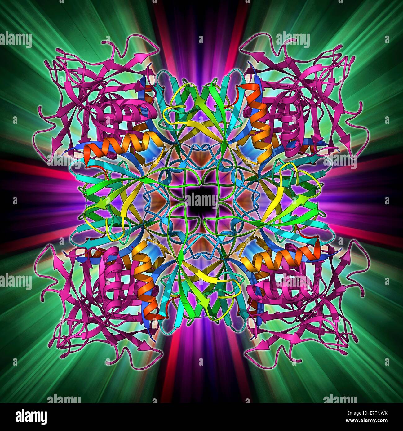 Pleckstrin hi-res stock photography and images - Alamy