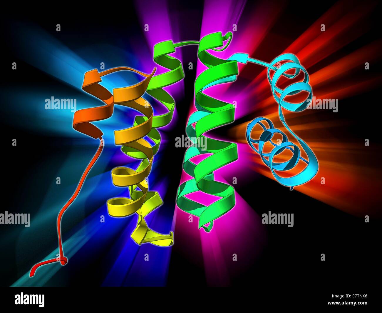 Human programmed cell death protein 4, molecular model. This protein is ...