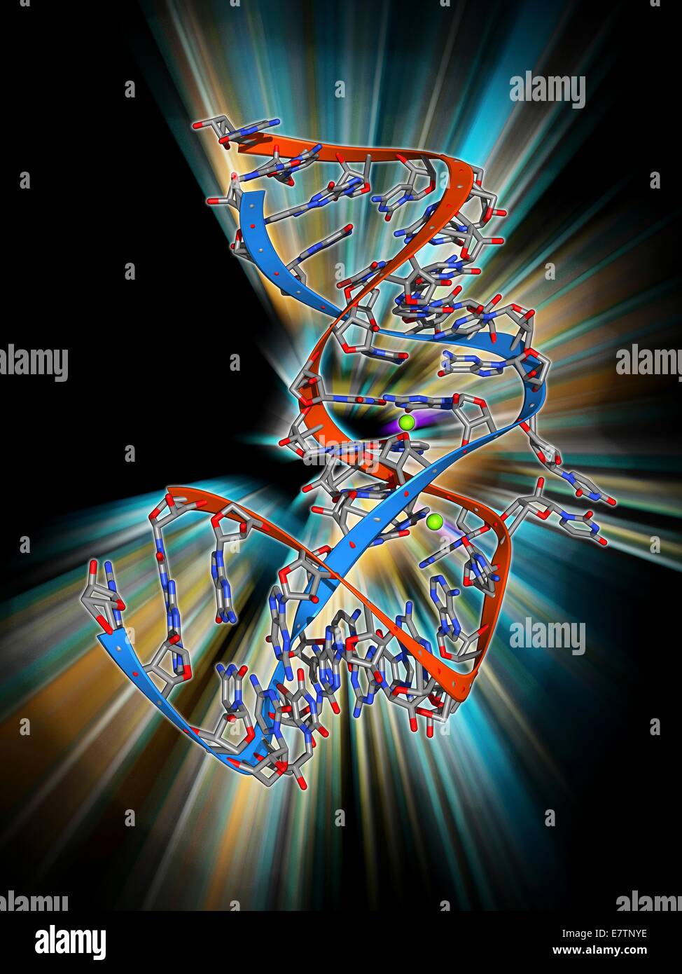 Internal ribosome entry site. Molecular model of an internal ribosome ...