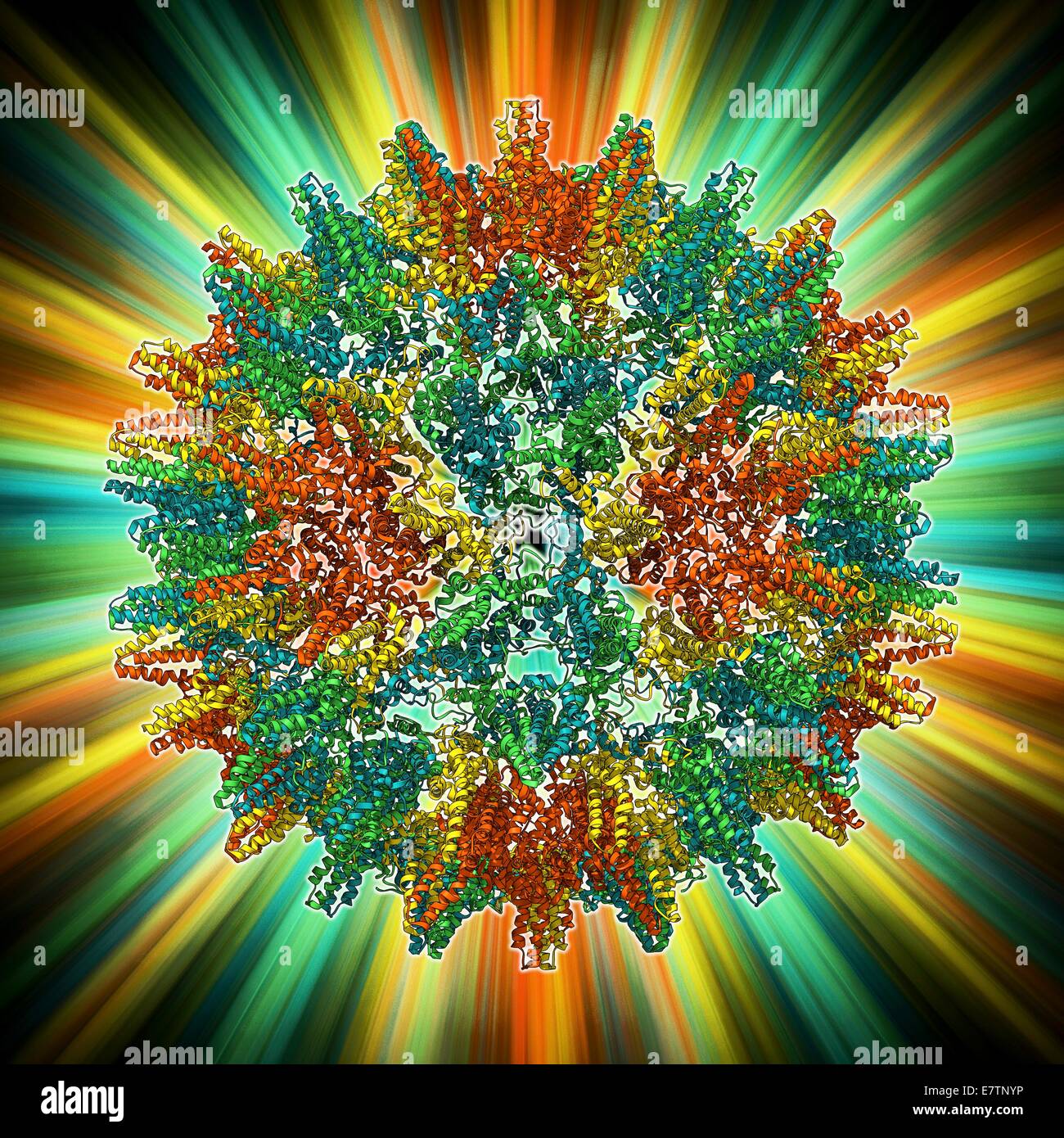 Hepatitis B virus capsid, molecular model. This virus, transmitted ...