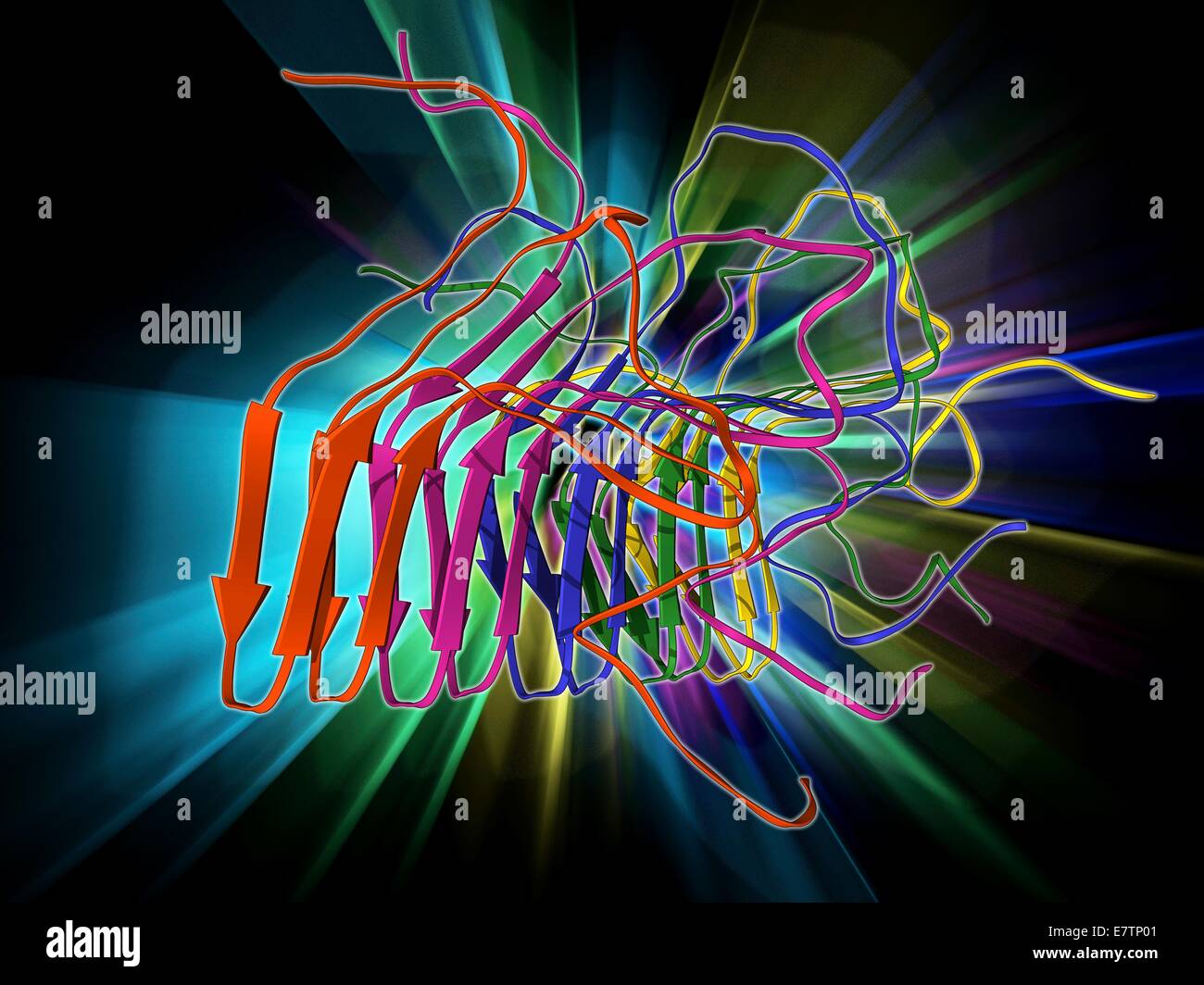 Fungal prion protein. Molecular model of the amyloid form of the HET ...