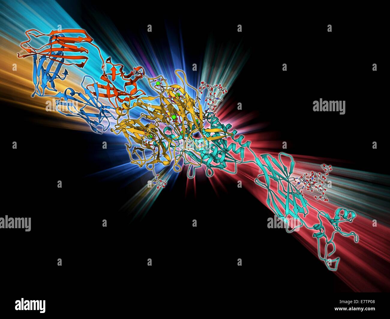 Coagulation factor ii hi-res stock photography and images - Alamy