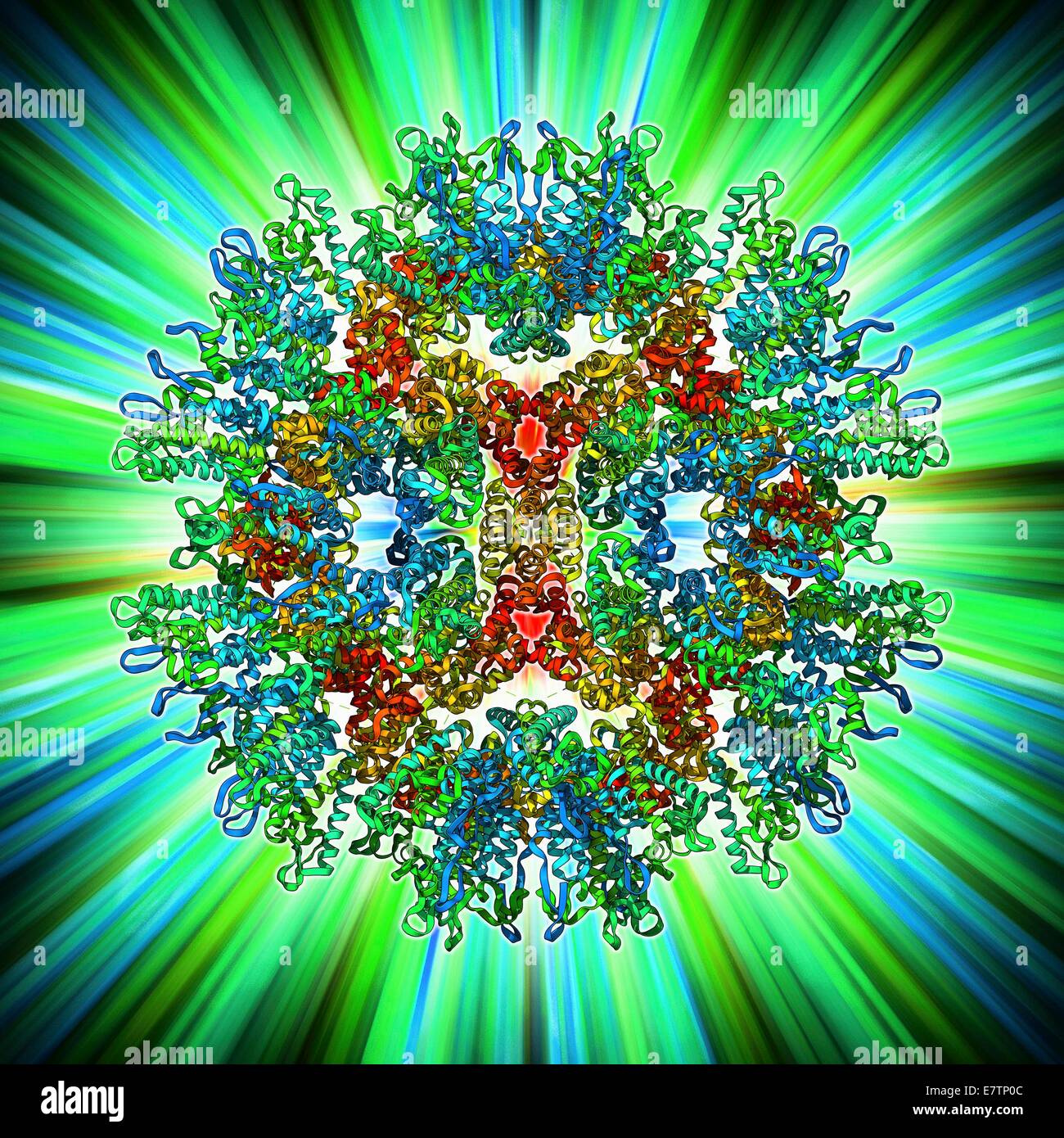 Rous sarcoma virus capsid, molecular model. In viruses, the capsid is ...