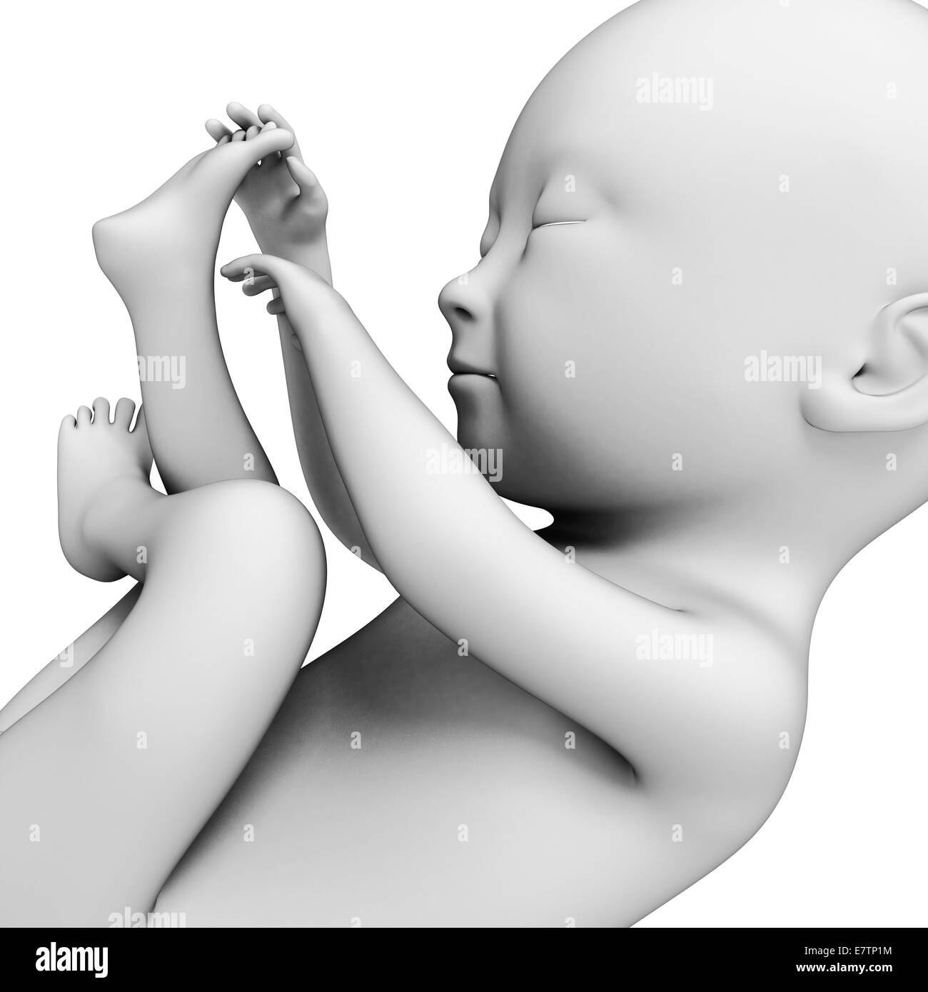 Human fetus closeup face hi-res stock photography and images - Alamy