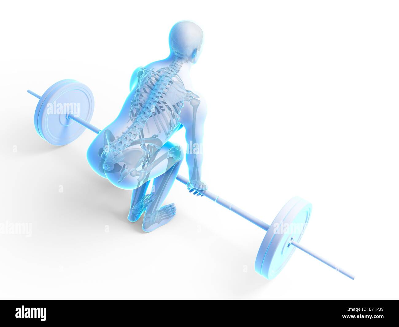 Correct Lifting Posture High Resolution Stock Photography and Images ...