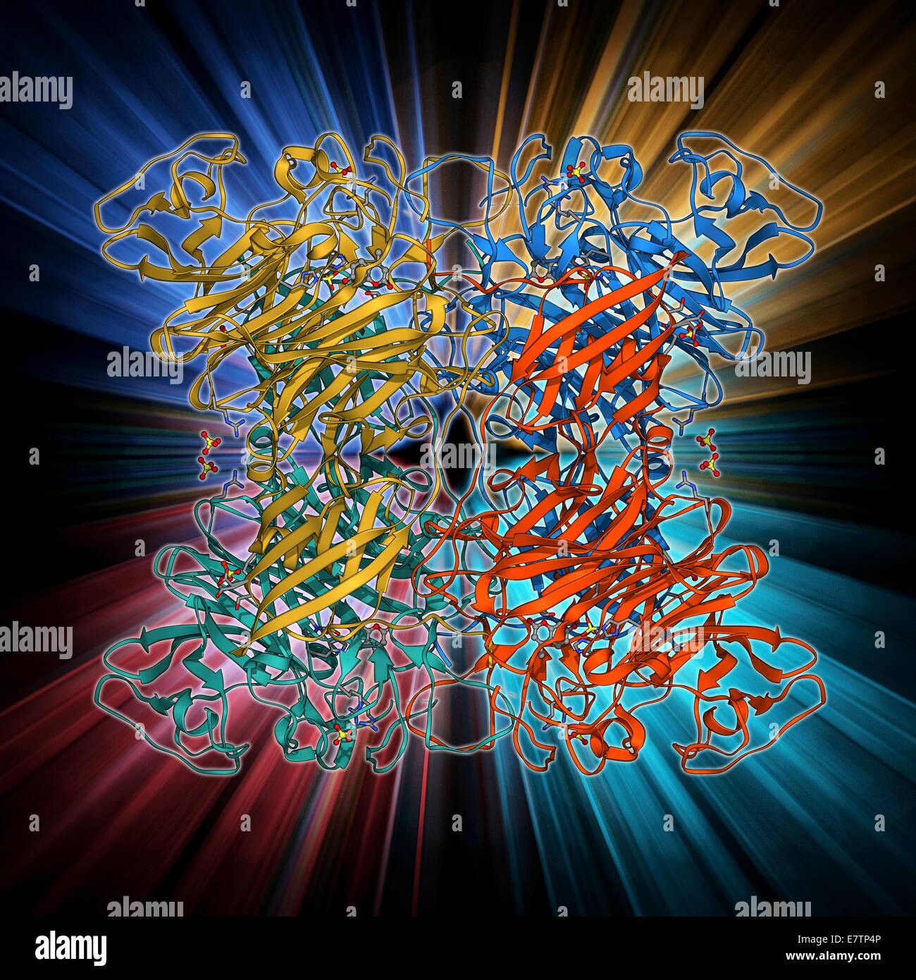 E. coli virulence factor molecule. Molecular model of the enzyme ...