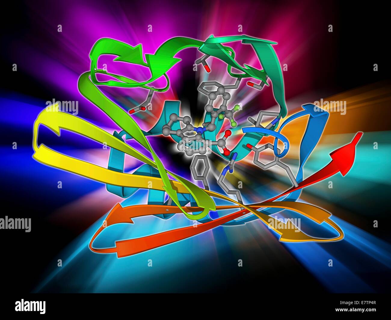 Fatty acid binding protein and inhibitor. Molecular model of adipocyte ...