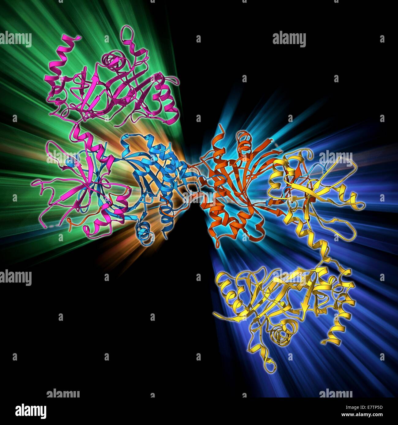 Rna capping hi-res stock photography and images - Alamy