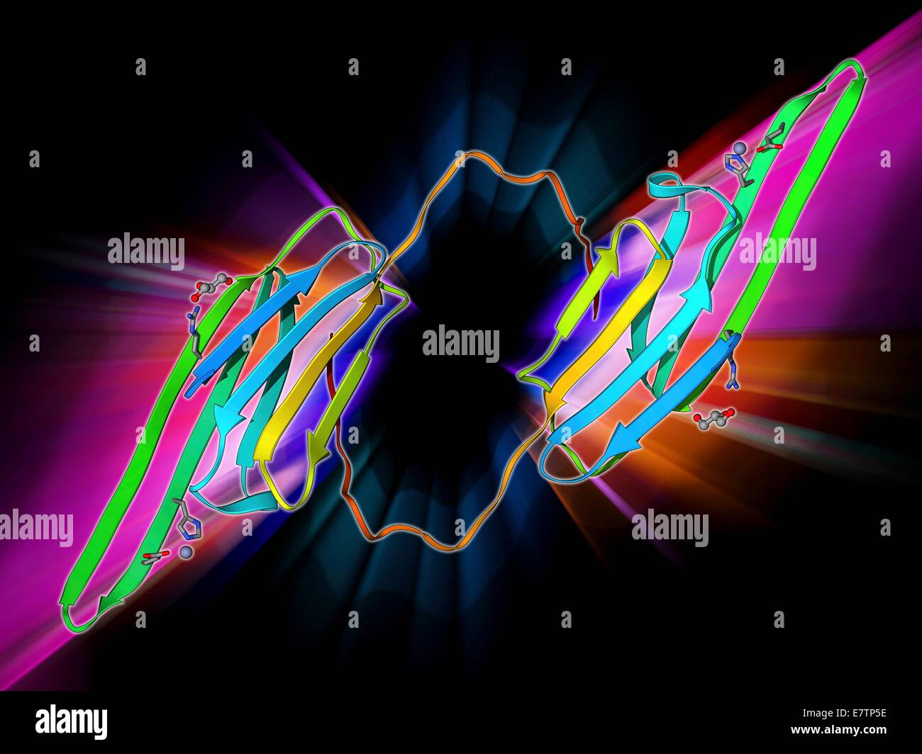 Alpha Helix High Resolution Stock Photography and Images - Alamy