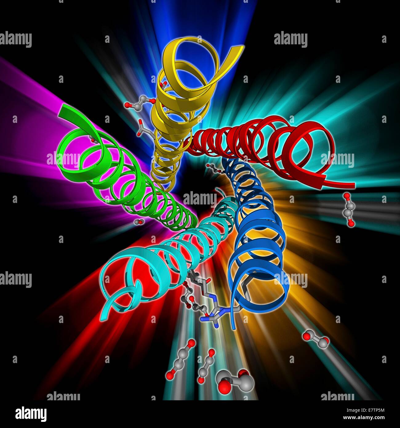 Human rotavirus enterotoxin. Molecular model of the NSP4 (nonstructural ...