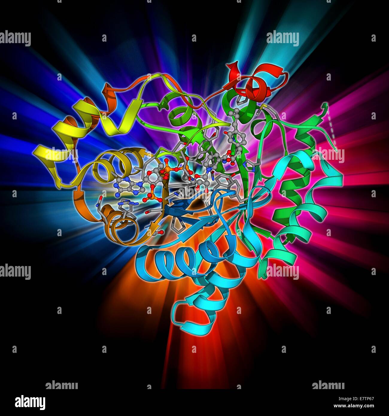 Aldo-keto reductase enzyme and ibuprofen. Molecular model of the enzyme ...