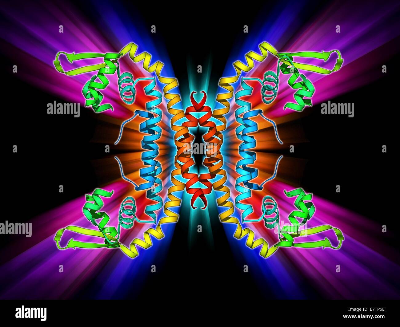 Parathion hydrolase, molecular model. This enzyme hydrolyses bonds in ...