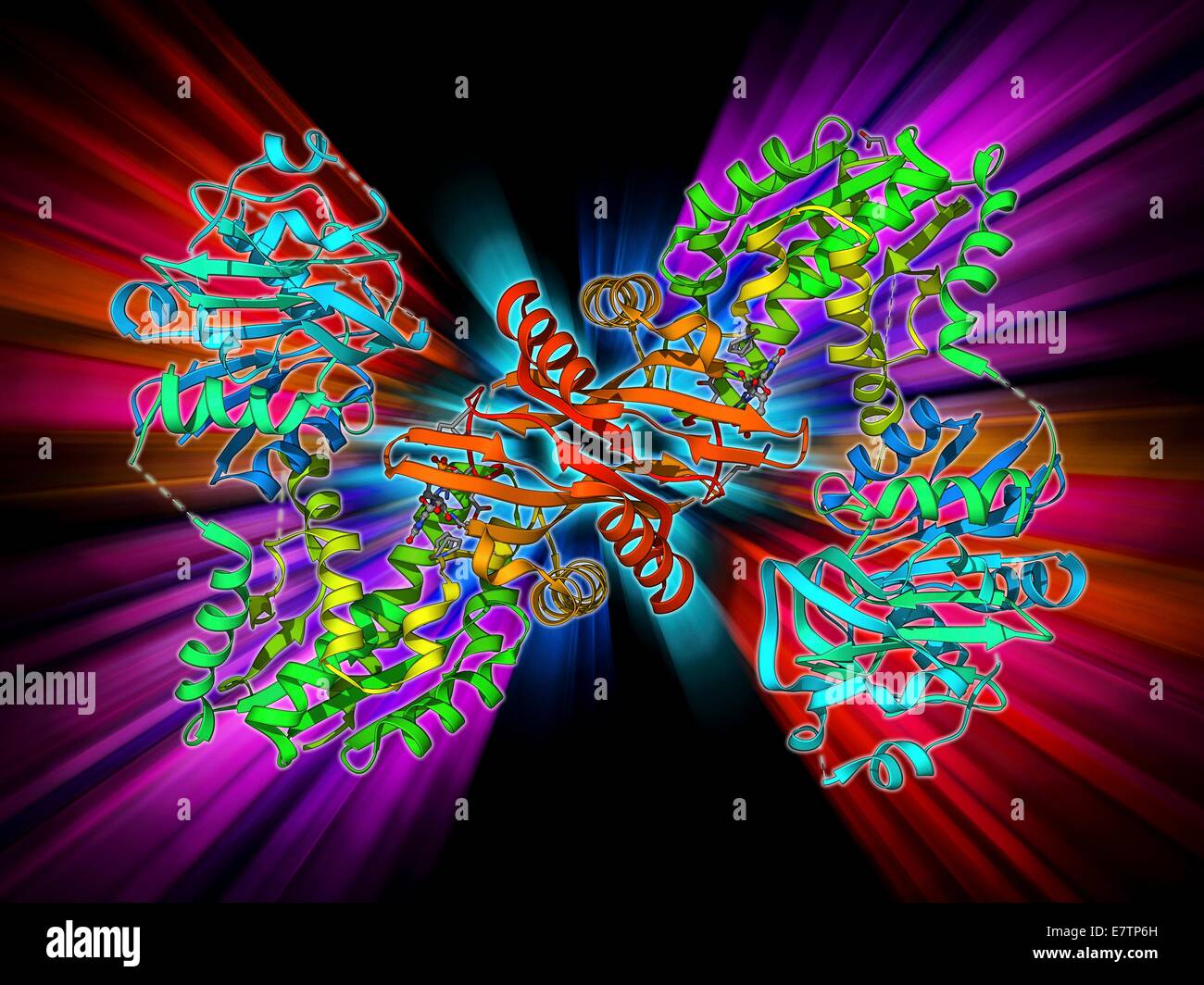 GMP synthetase enzyme, molecular model. This enzyme, guanine ...