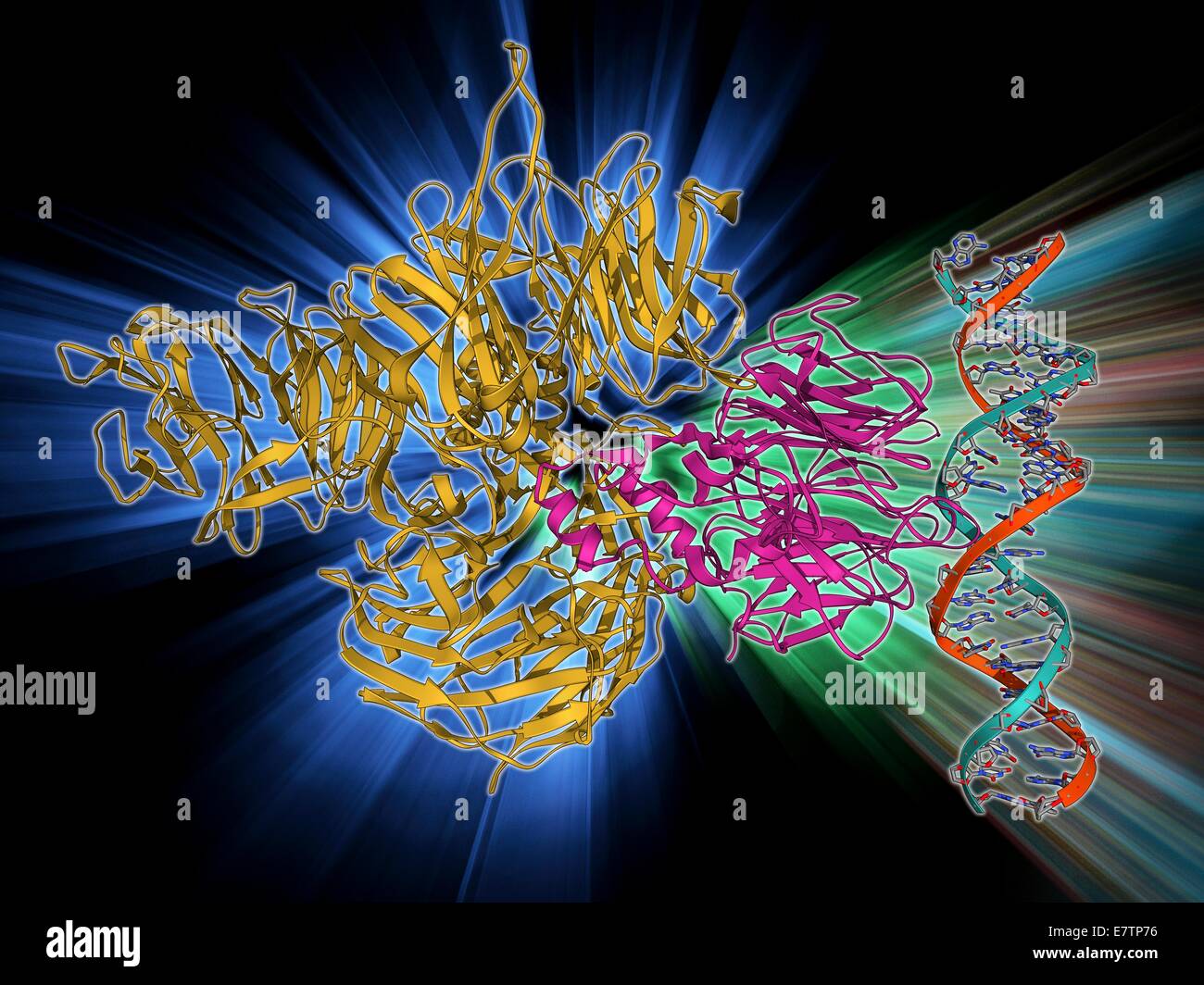 Dna damaged High Resolution Stock Photography and Images - Alamy