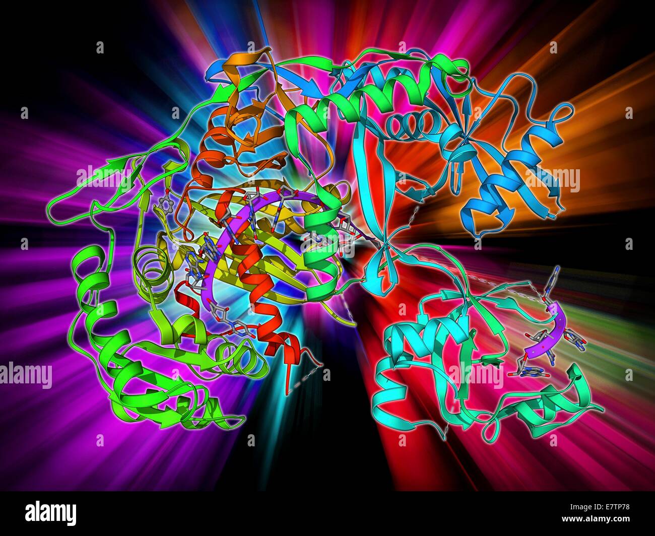 Gene silencing hi-res stock photography and images - Alamy