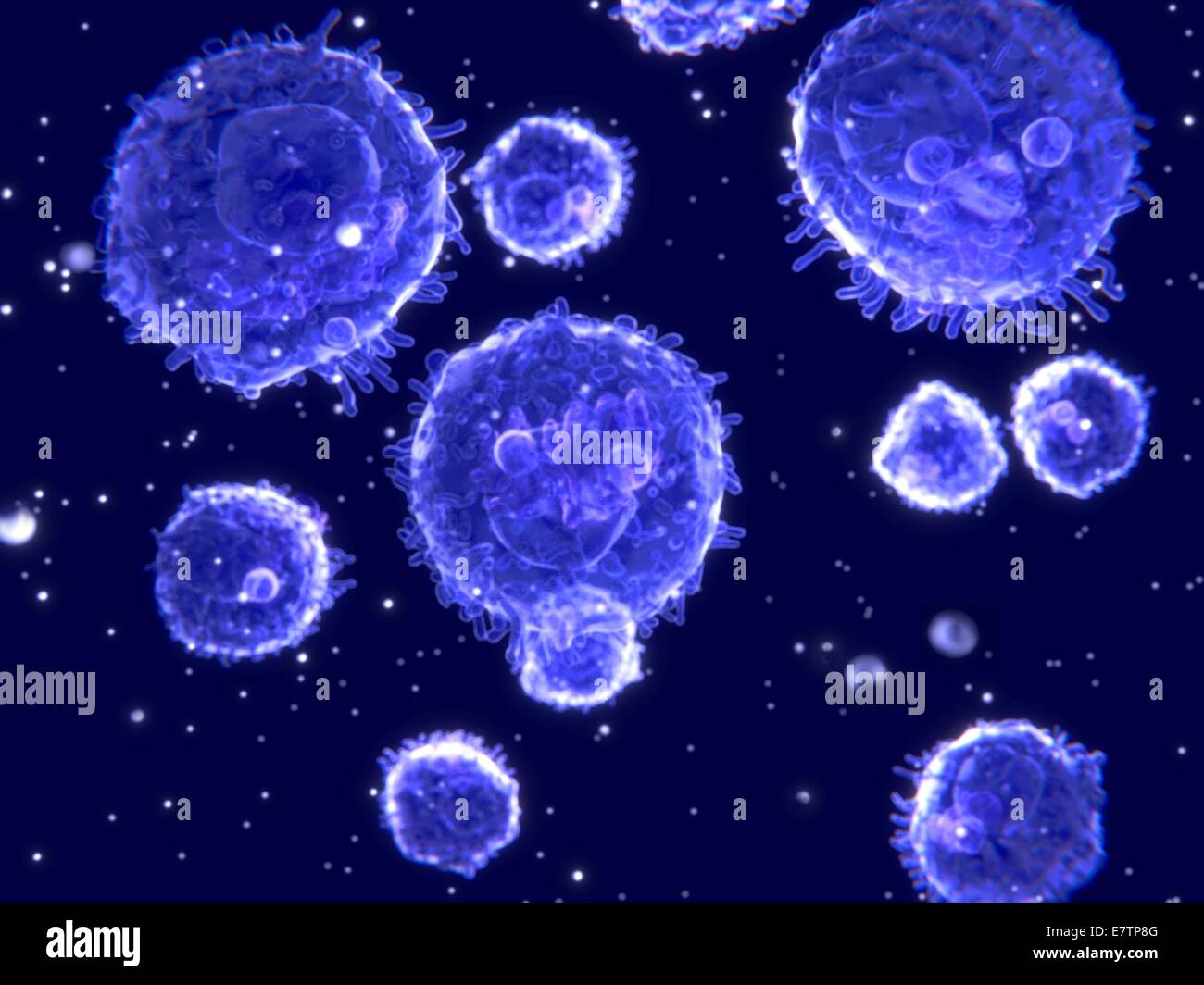 Lymphocyte white blood cells, computer artwork Stock Photo - Alamy