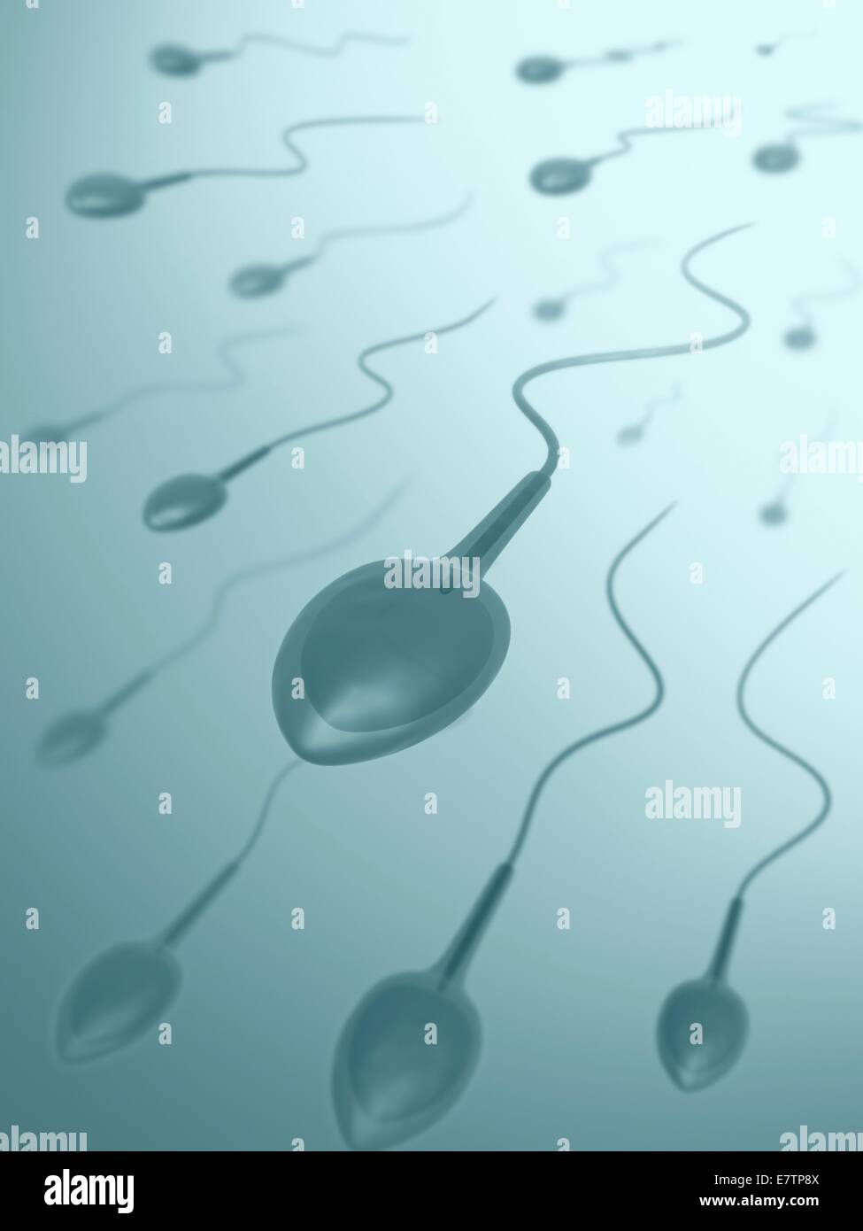 Human sperm, computer artwork Stock Photo - Alamy