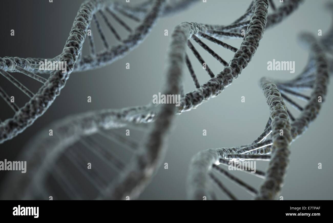 DNA (deoxyribonucleic acid) double helix, computer artwork Stock Photo ...