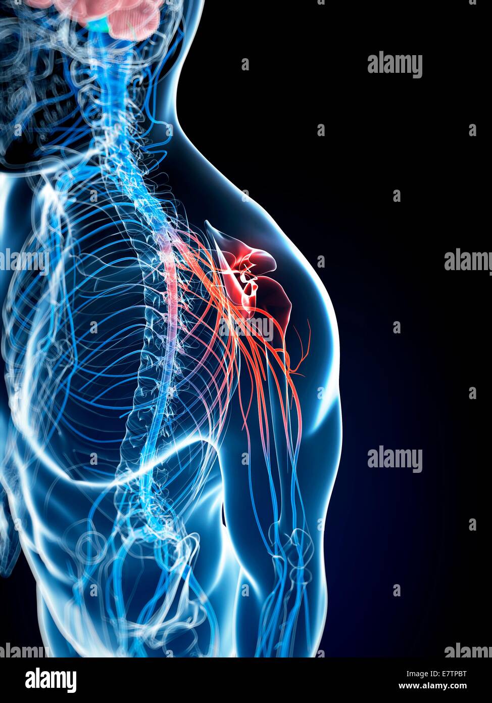 Nerve pain hi-res stock photography and images - Alamy