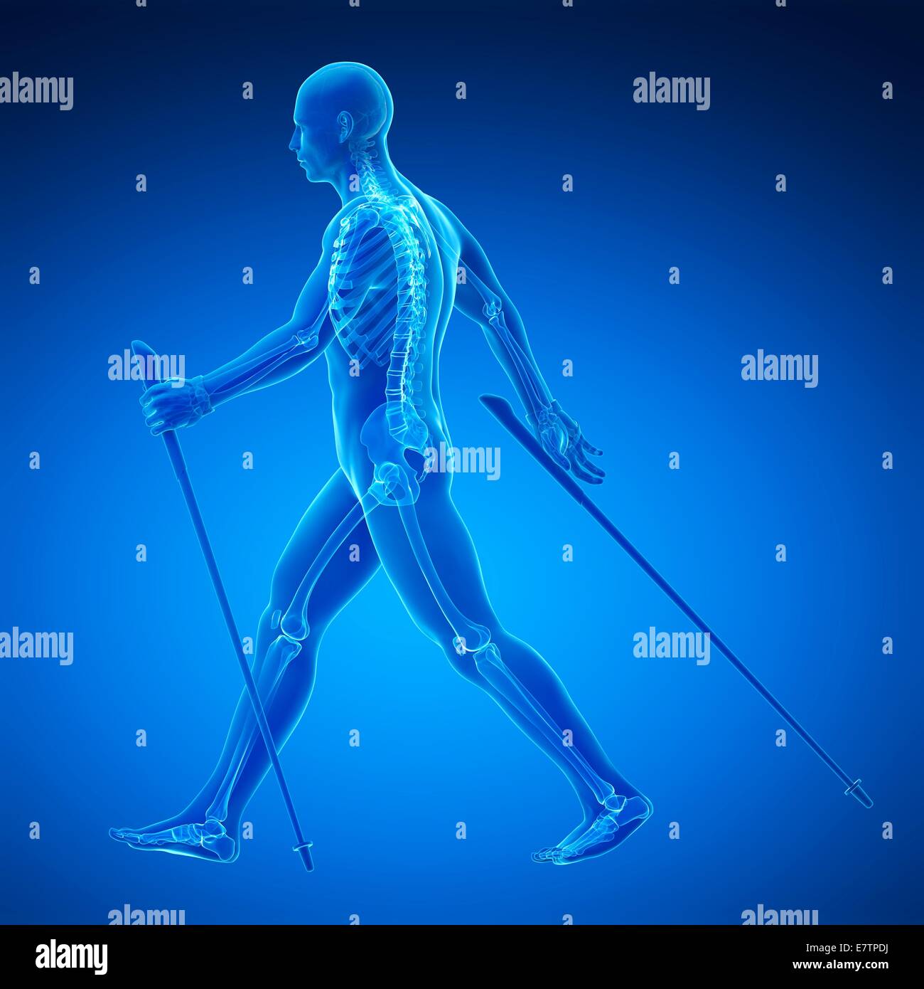 Blue walker 3 hi-res stock photography and images - Alamy