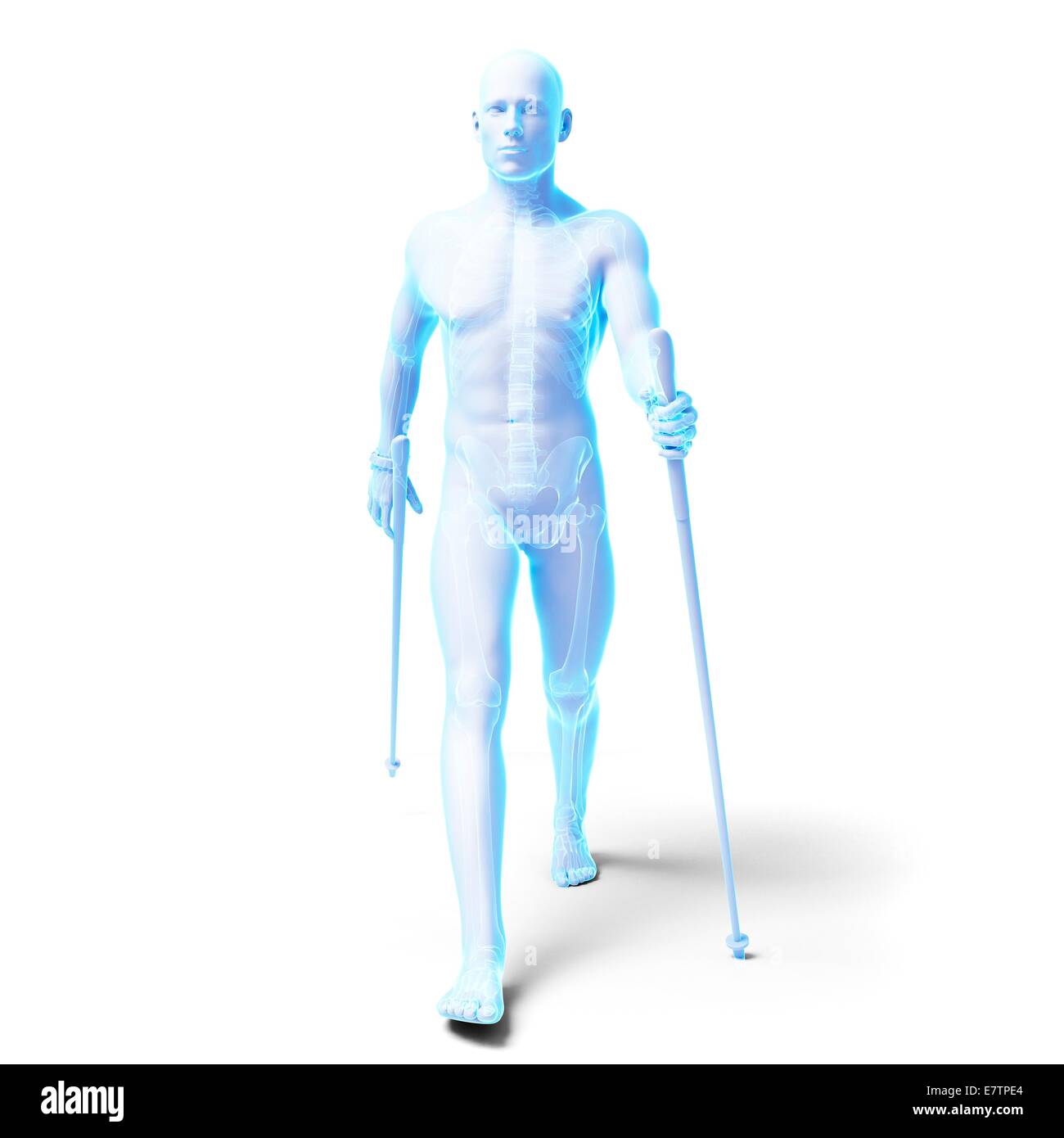 Nordic walker, computer artwork Stock Photo - Alamy