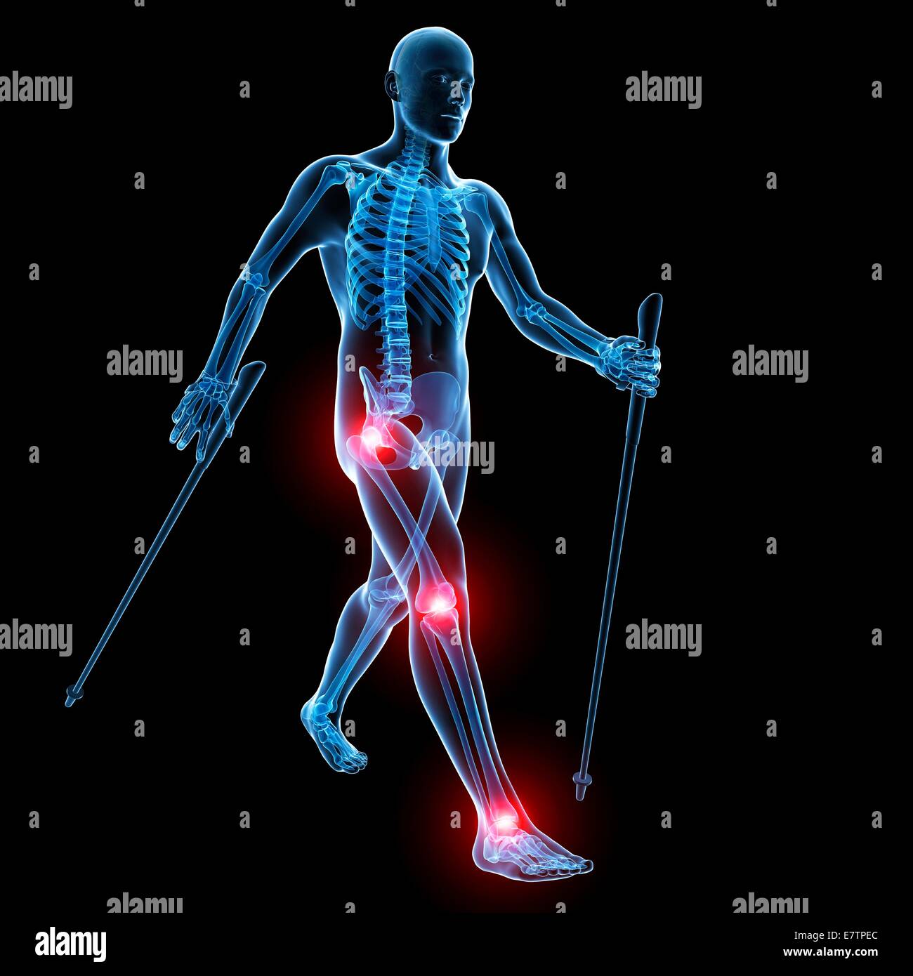 Nordic walker, computer artwork Stock Photo - Alamy