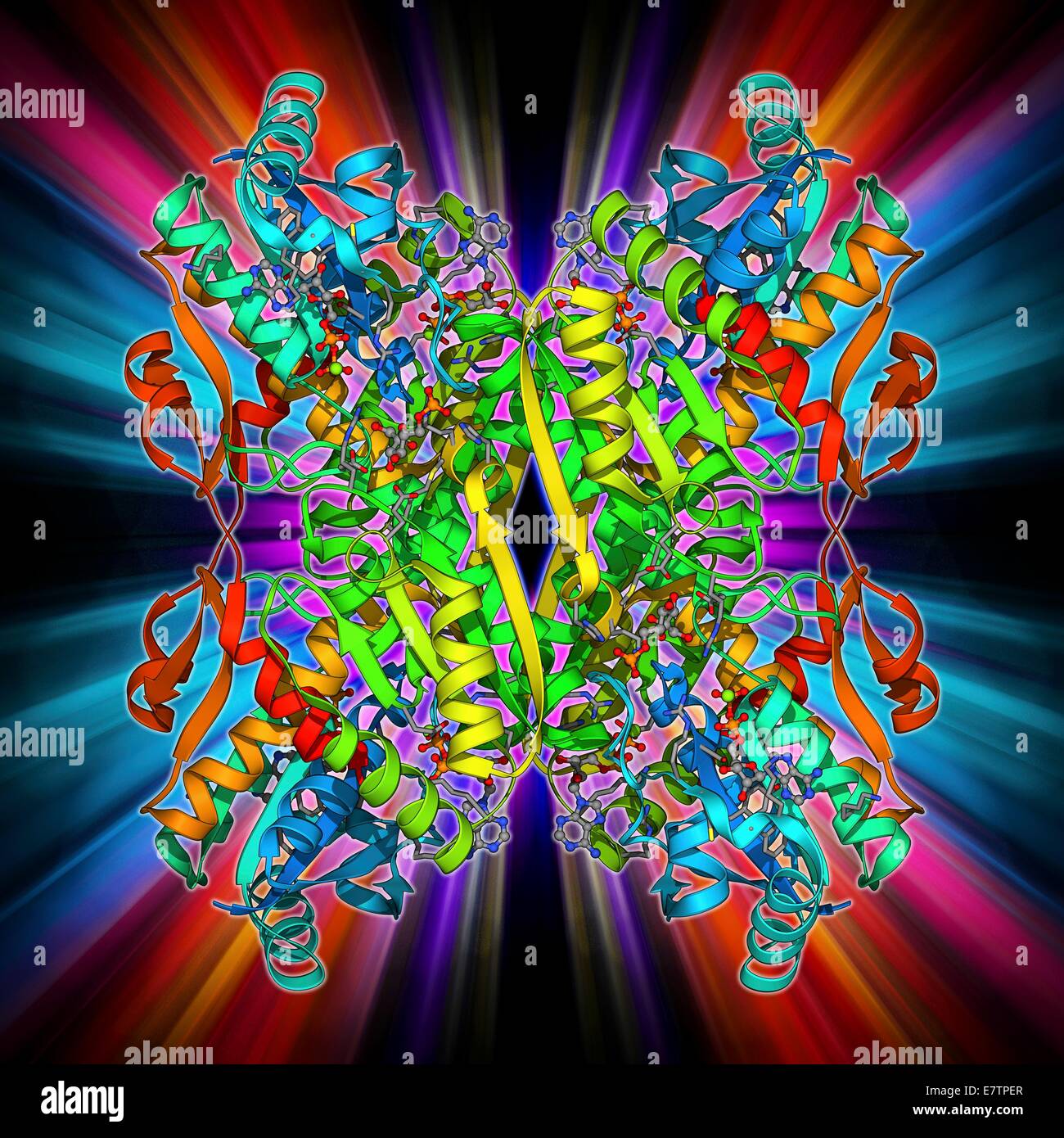 Phosphofructokinase enzyme, molecular model. This enzyme, from the ...