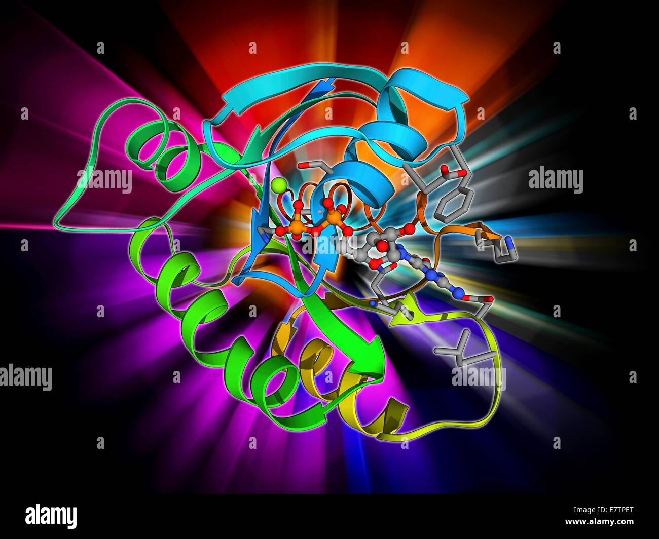 H Ras P21 Oncogene Protein Molecular Model The Ras Proteins Are Involved In Transmitting