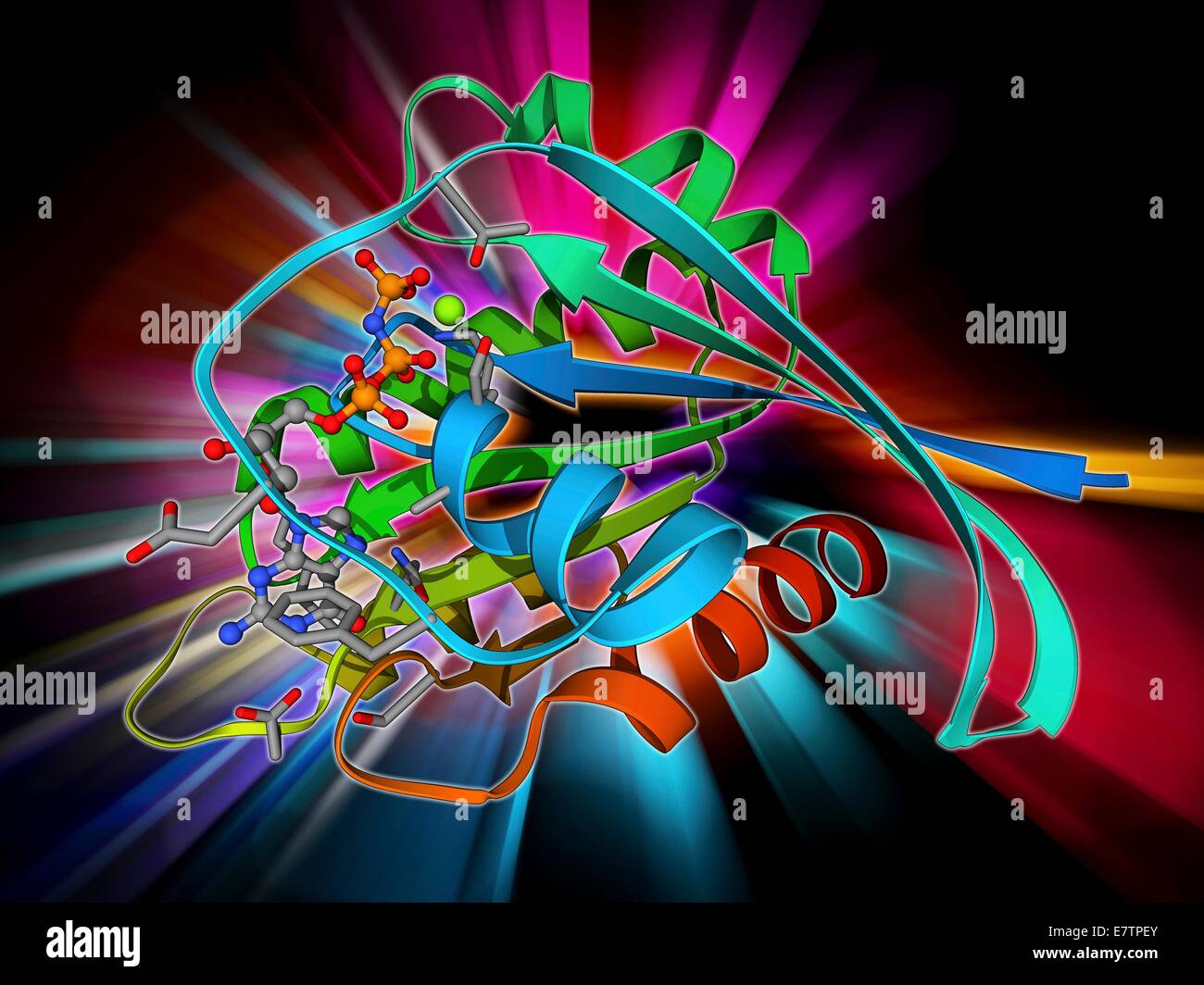 H Ras P21 Oncogene Protein Molecular Model The Ras Proteins Are Involved In Transmitting