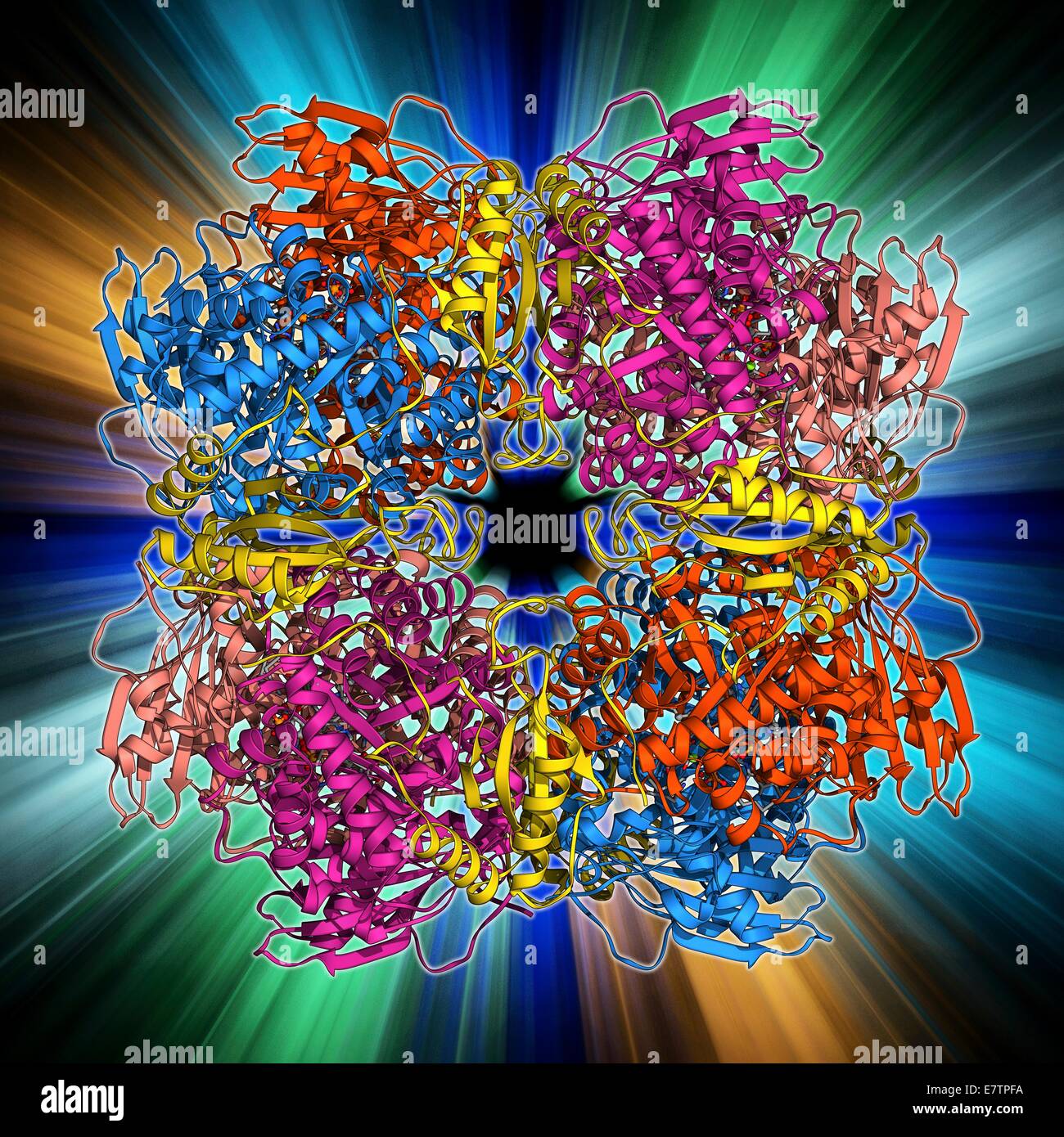 Structure Of Rubisco